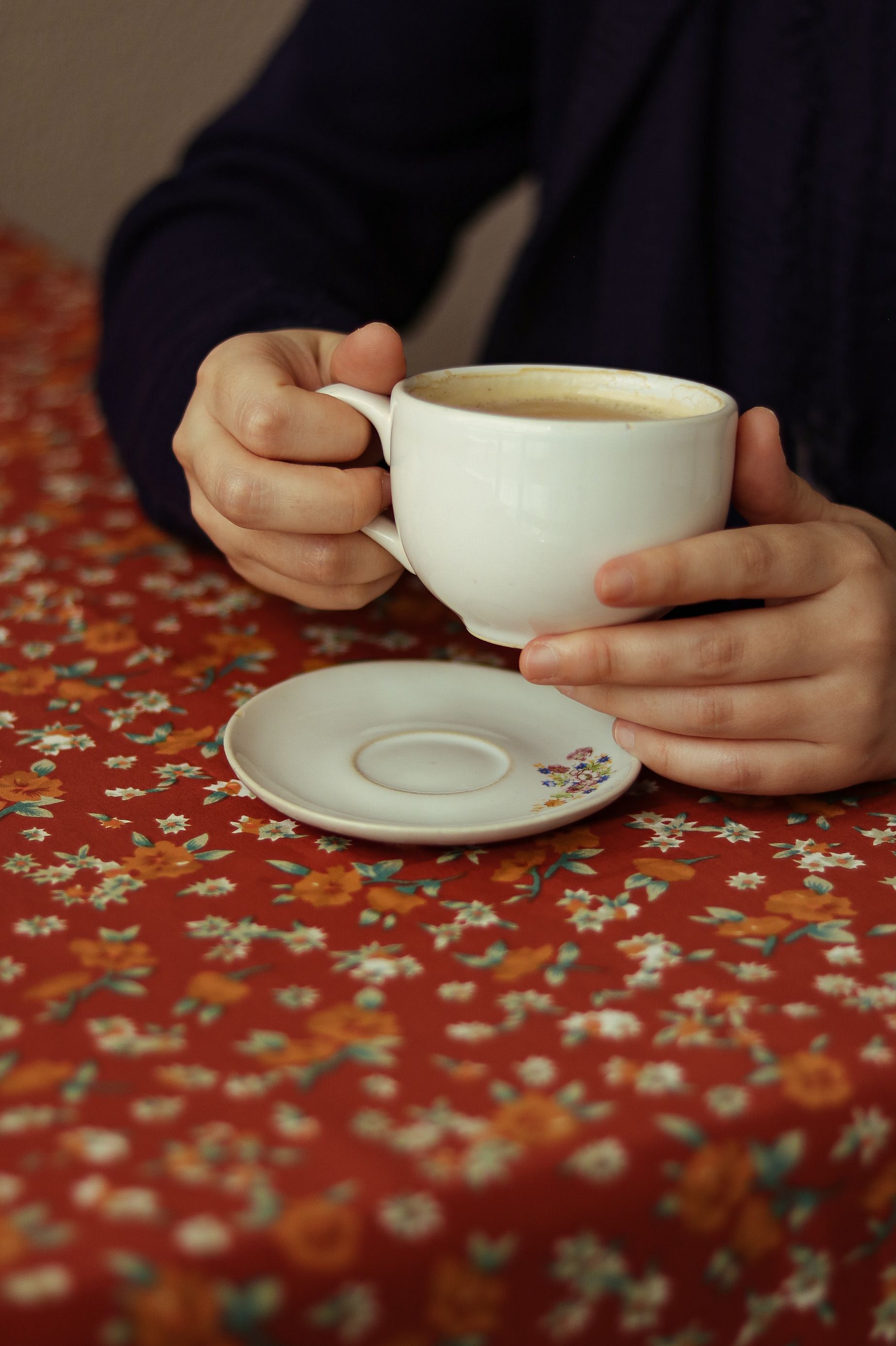 Hands Holding Cup over Plate · Free Stock Photo