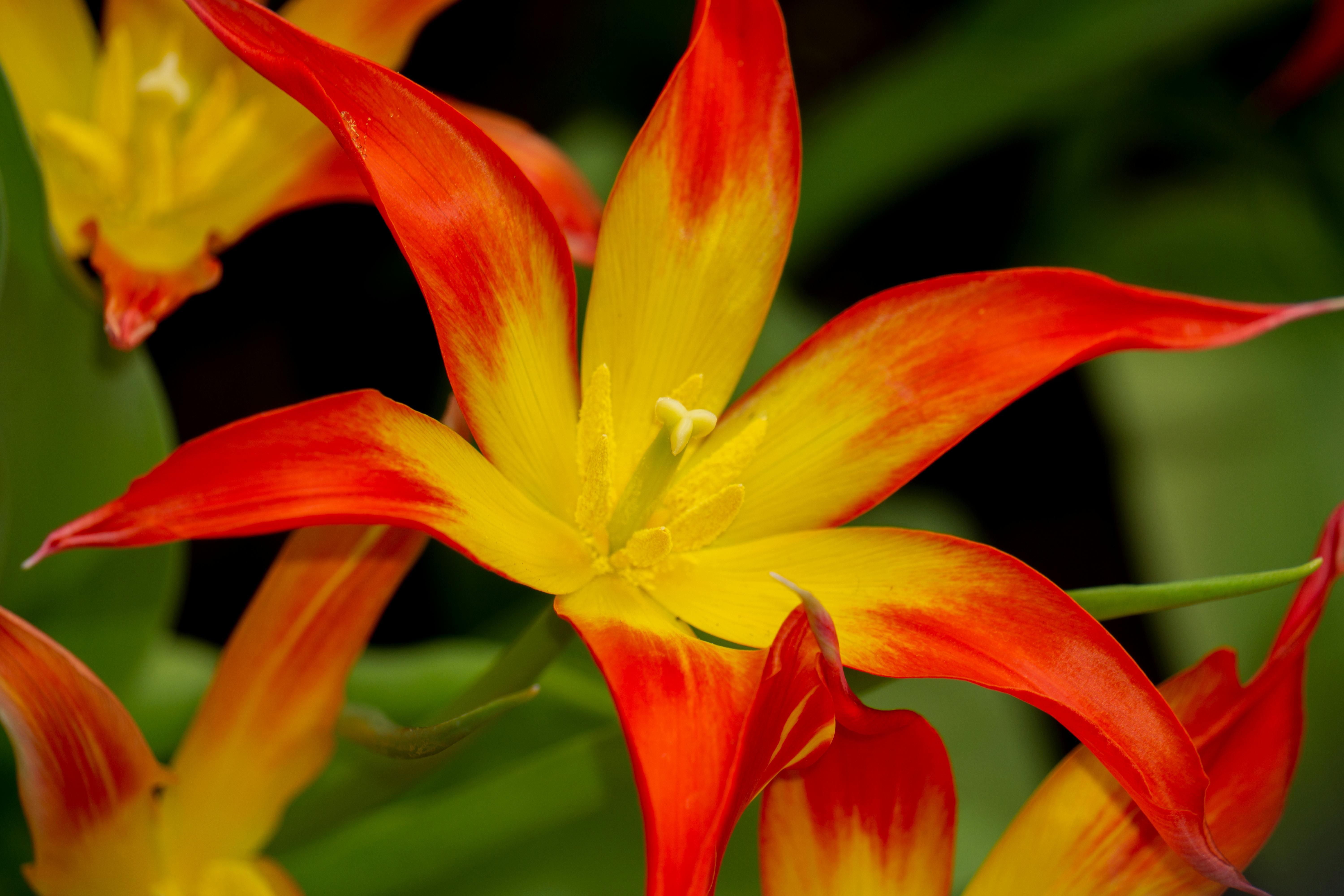 Aravind Reddy Tarugu - Photography