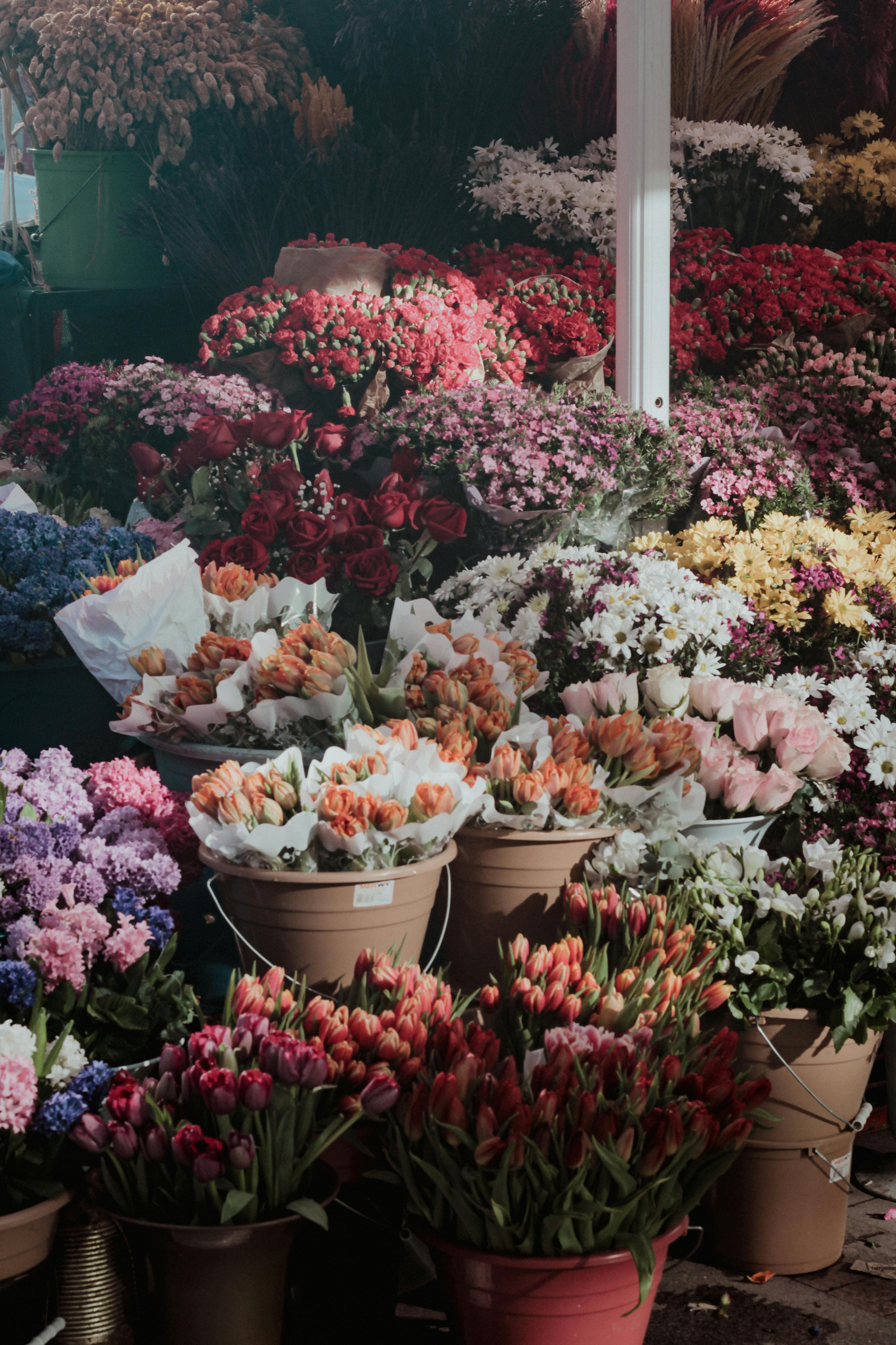 Buckets with Flowers on Florist Stall · Free Stock Photo