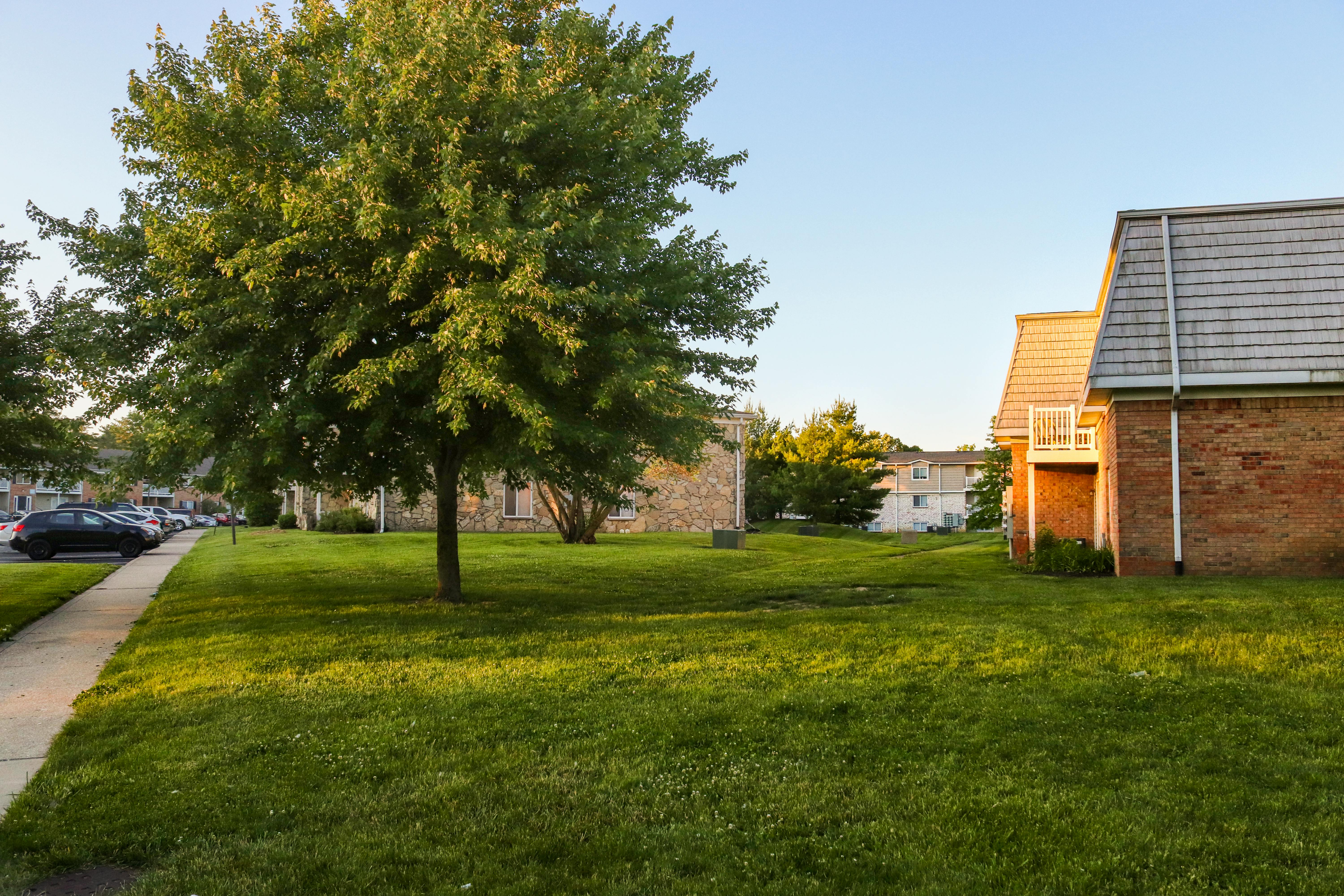 Lawn and Trees around House · Free Stock Photo
