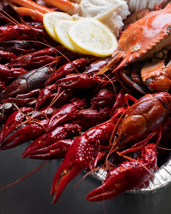 Crawfish Photos, Download The BEST Free Crawfish Stock Photos & HD Images