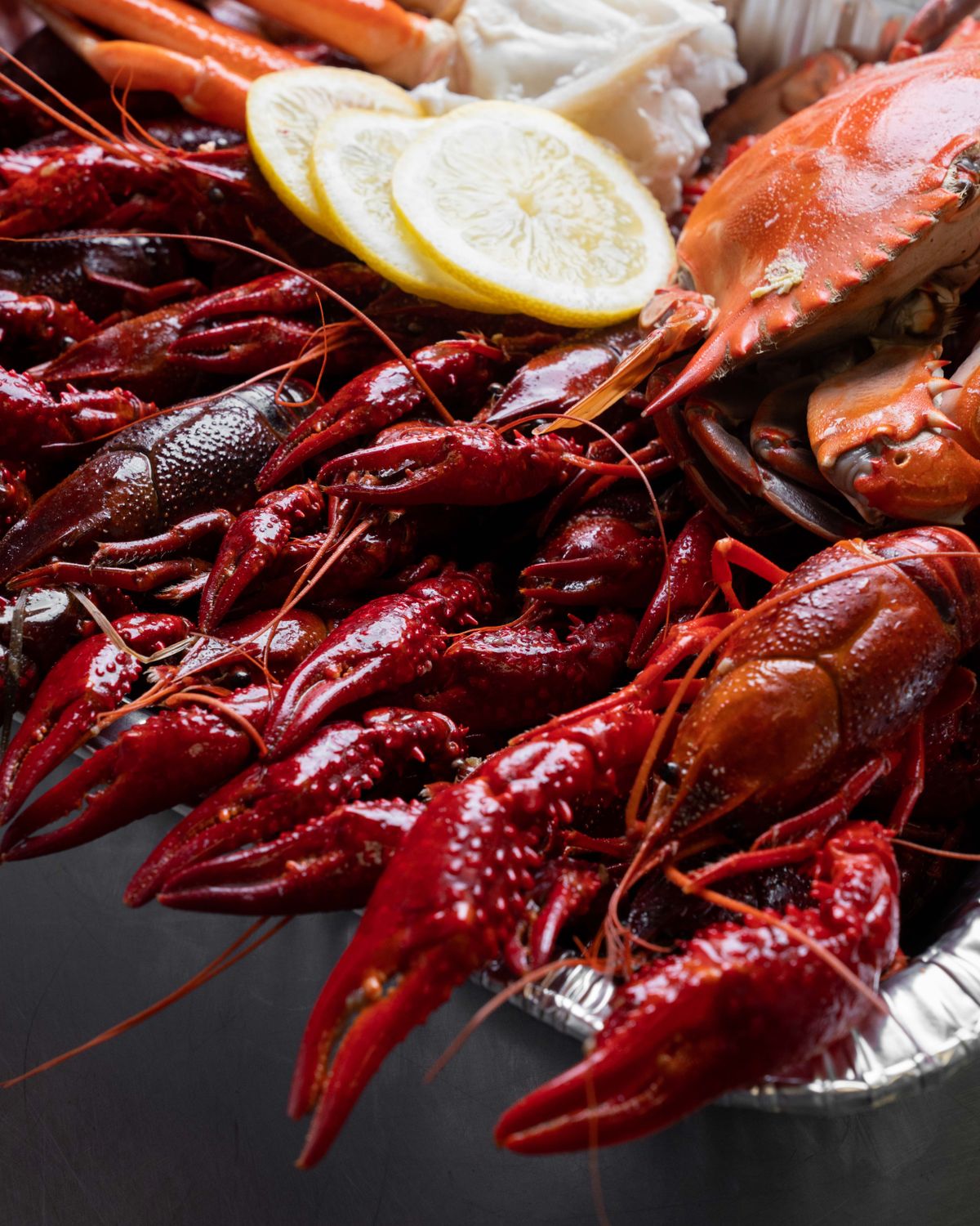 Lobsters Photos, Download The BEST Free Lobsters Stock Photos & HD Images