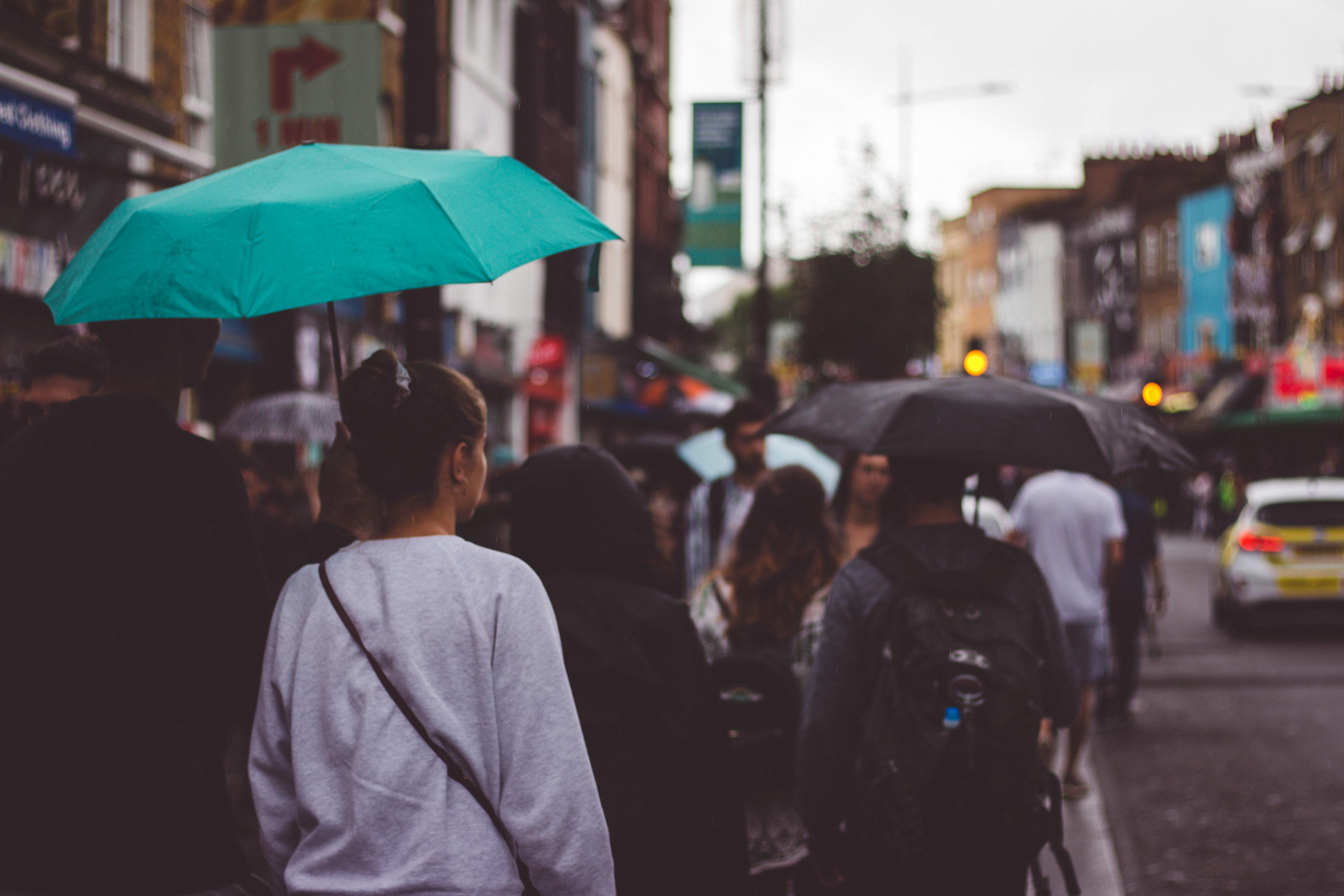 Person Holding Umbrella · Free Stock Photo