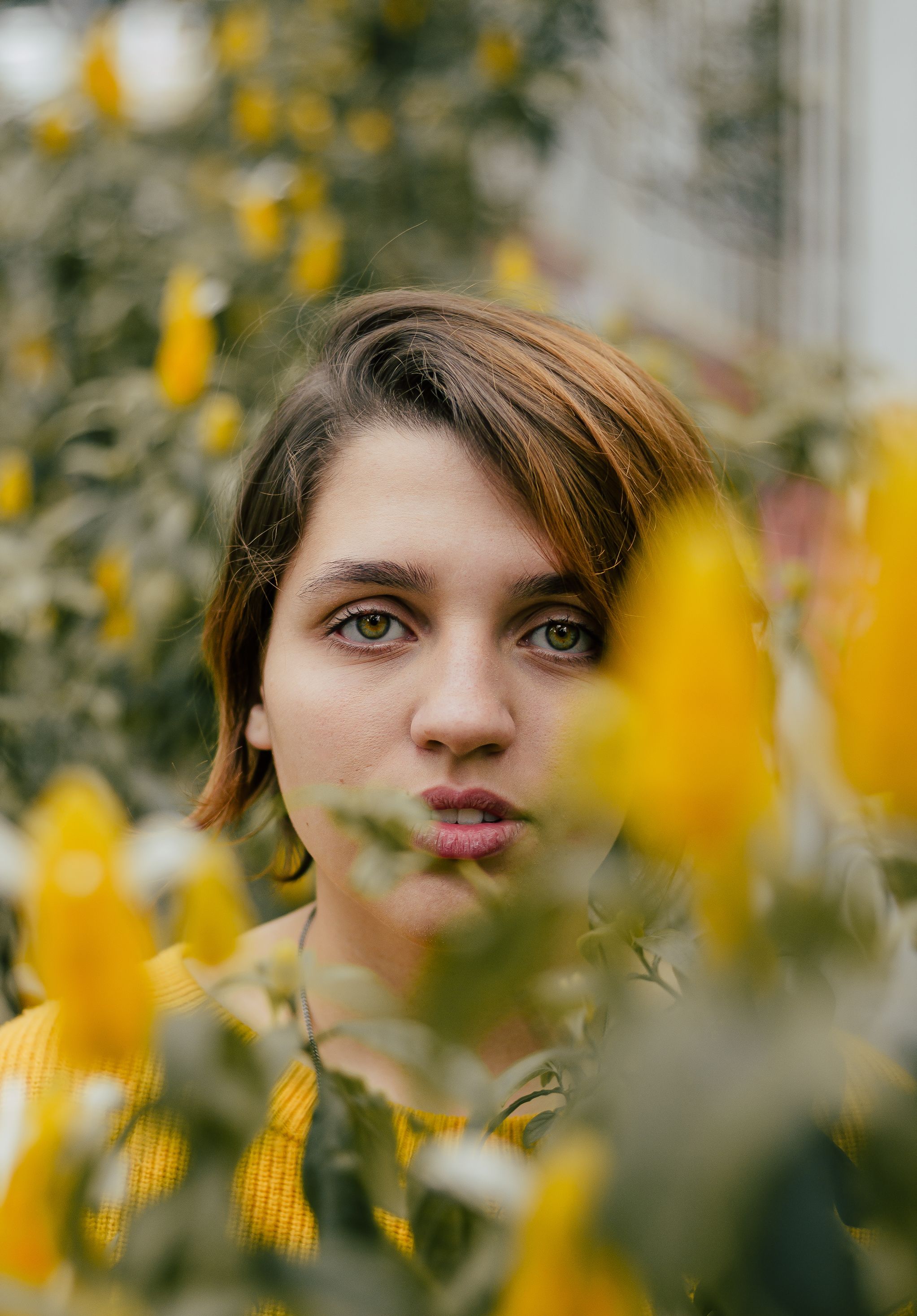 Portraitmood Photos, Download The BEST Free Portraitmood Stock Photos ...