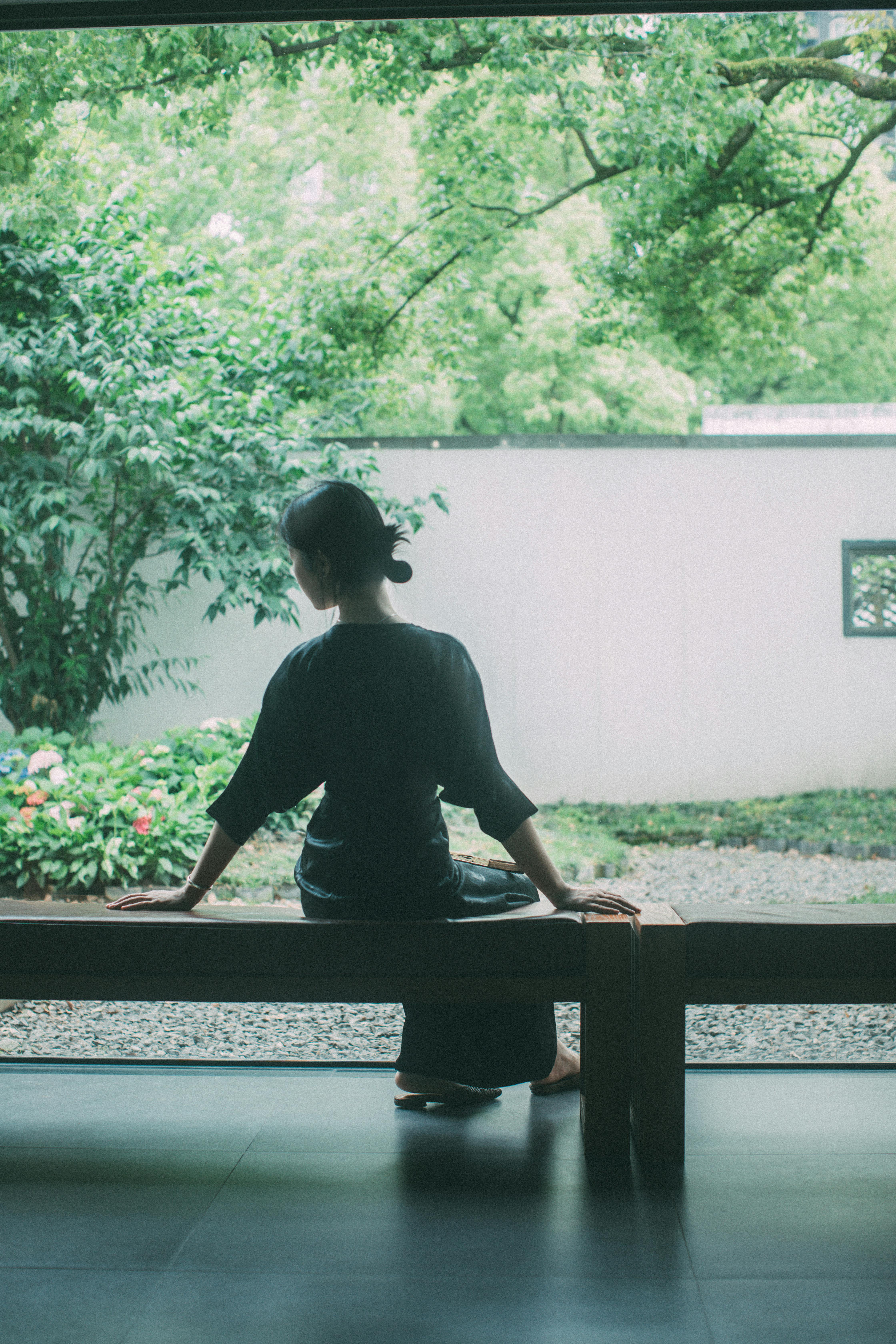 Back View of a Woman Sitting on a Bench · Free Stock Photo