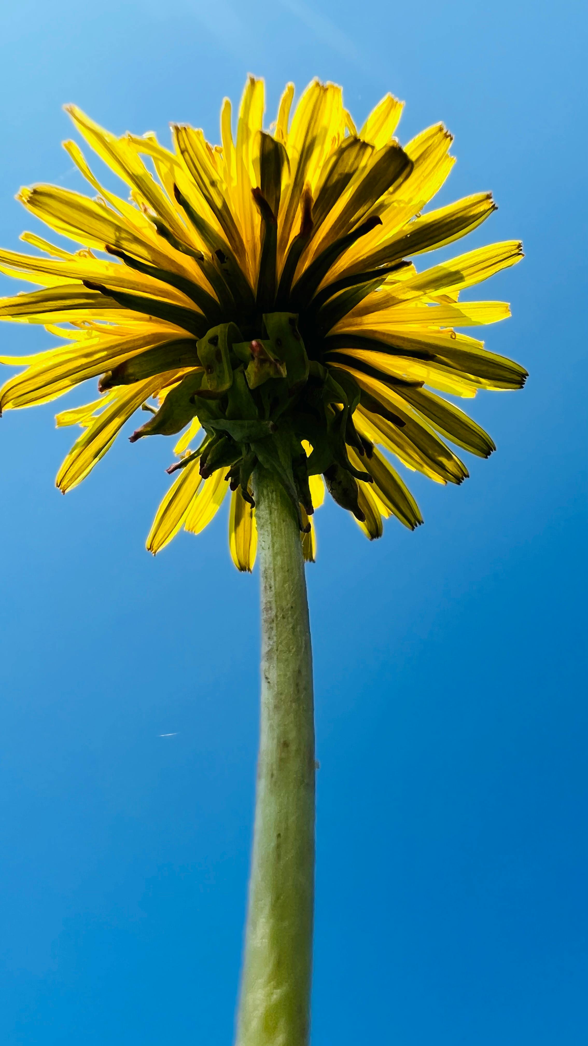 Nick Dube - Fotografía