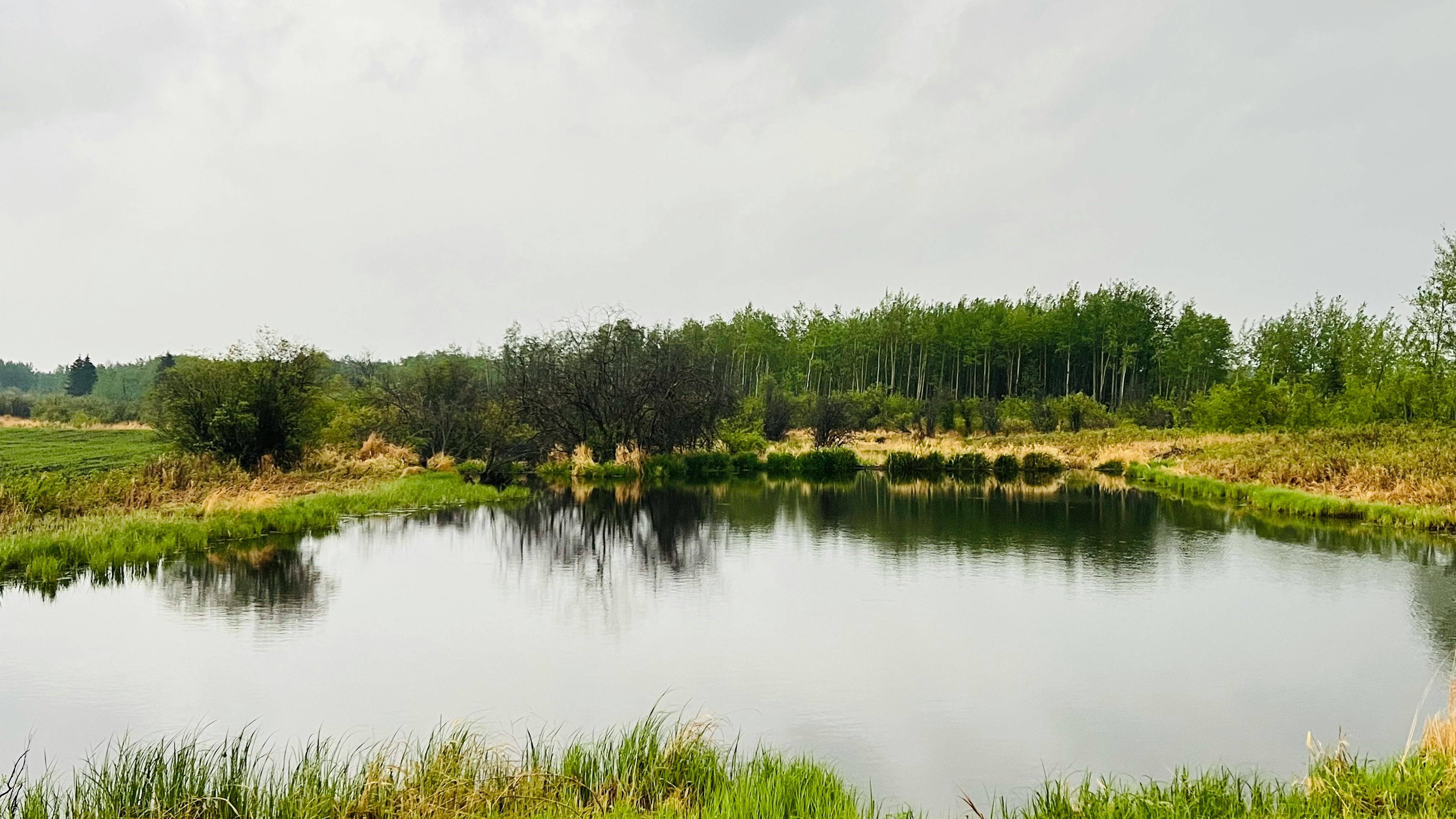 Nick Dube - Fotografía