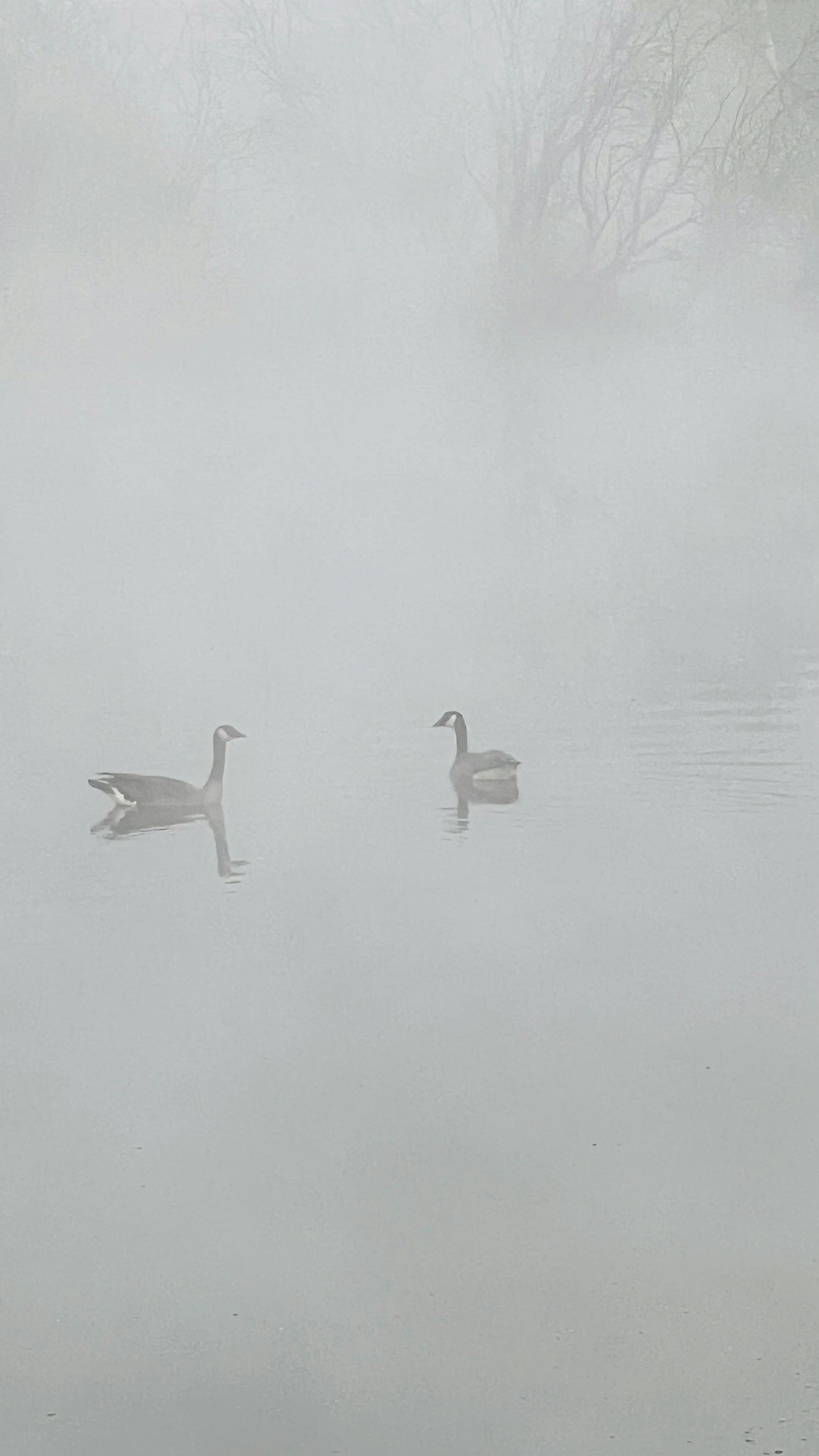 Nick Dube - Fotografía