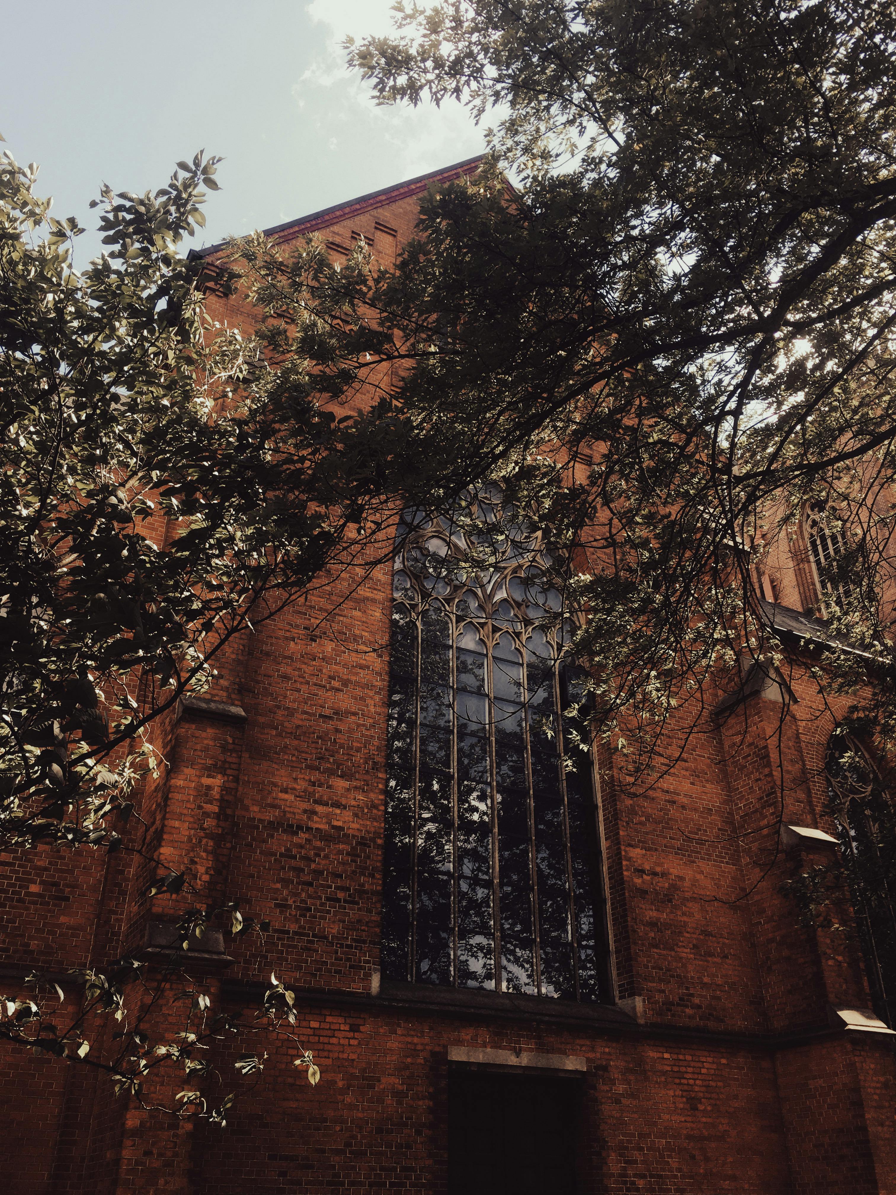 Church behind Tree Branches · Free Stock Photo