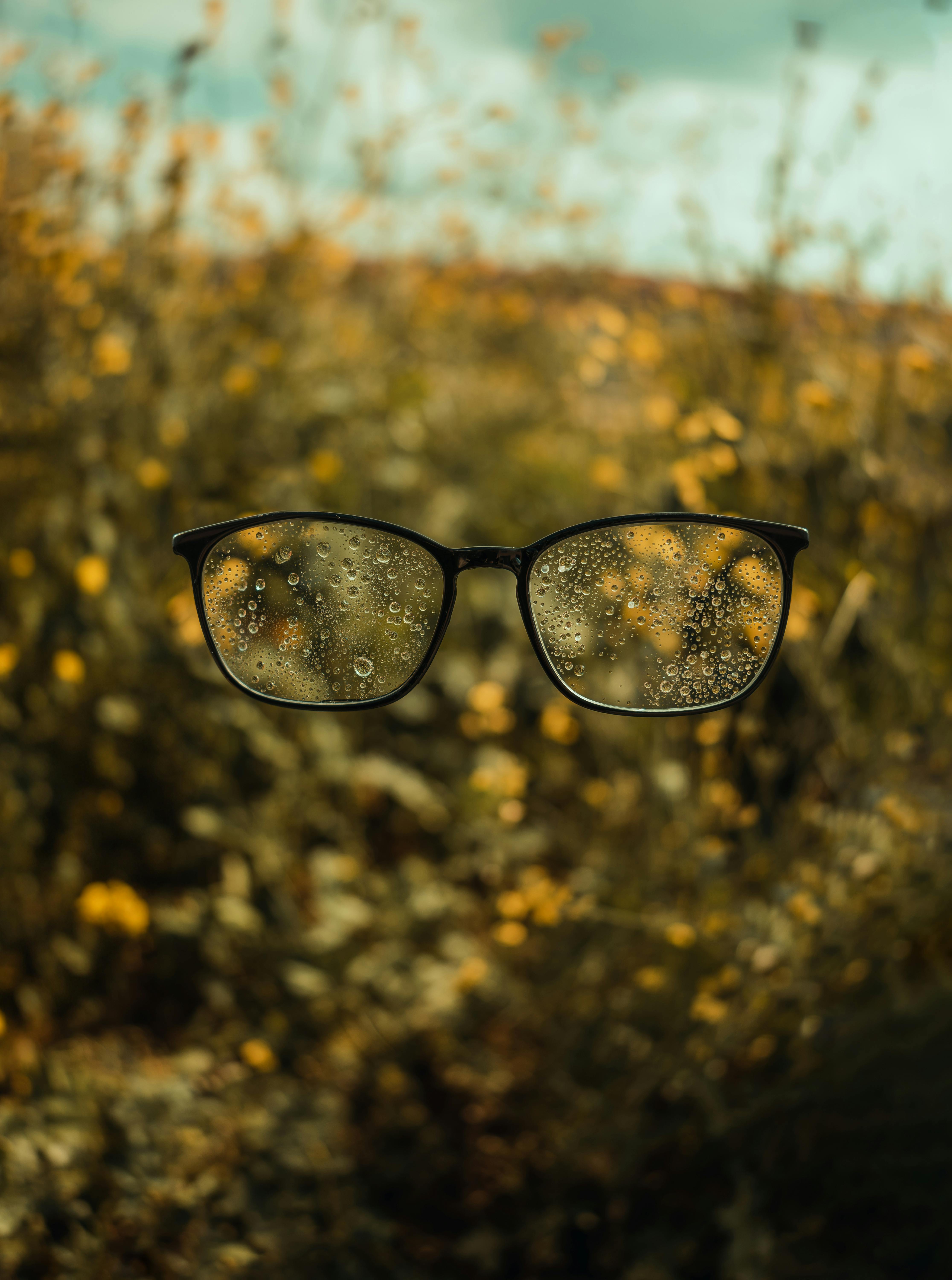Gold Framed Eye Glasses · Free Stock Photo