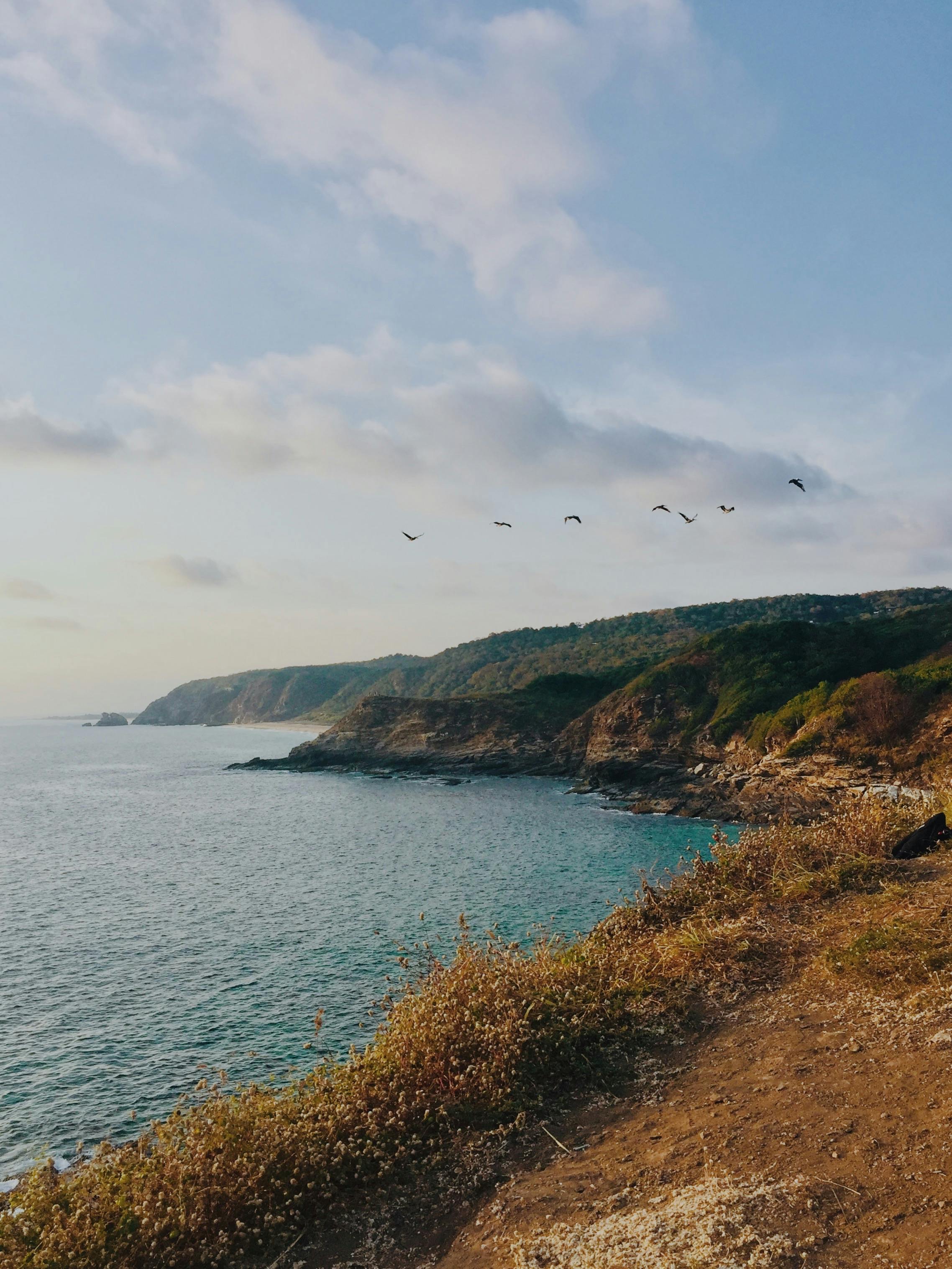 Projects Land Photos, Download The BEST Free Projects Land Stock Photos ...