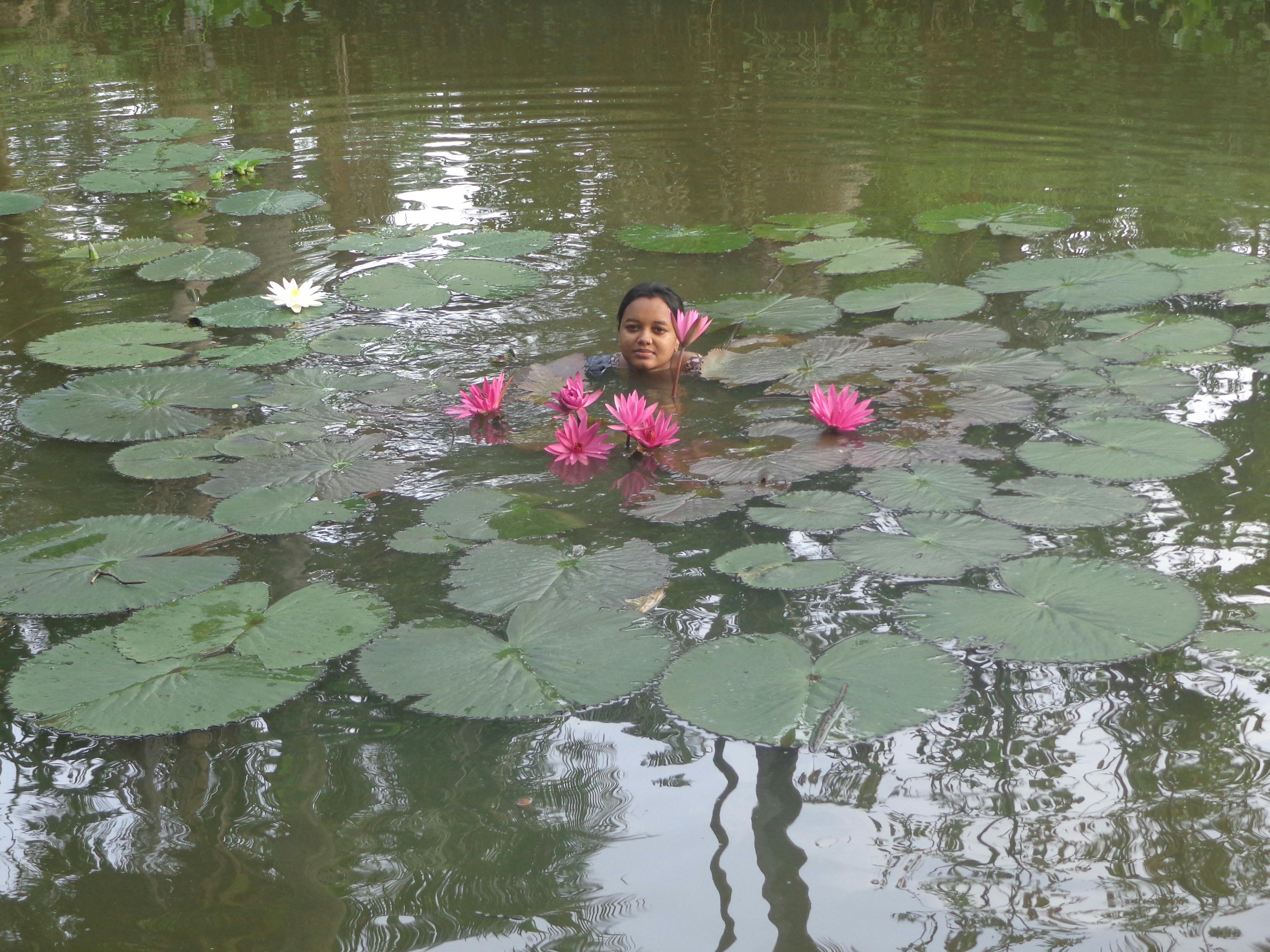 Free stock photo of bishnu