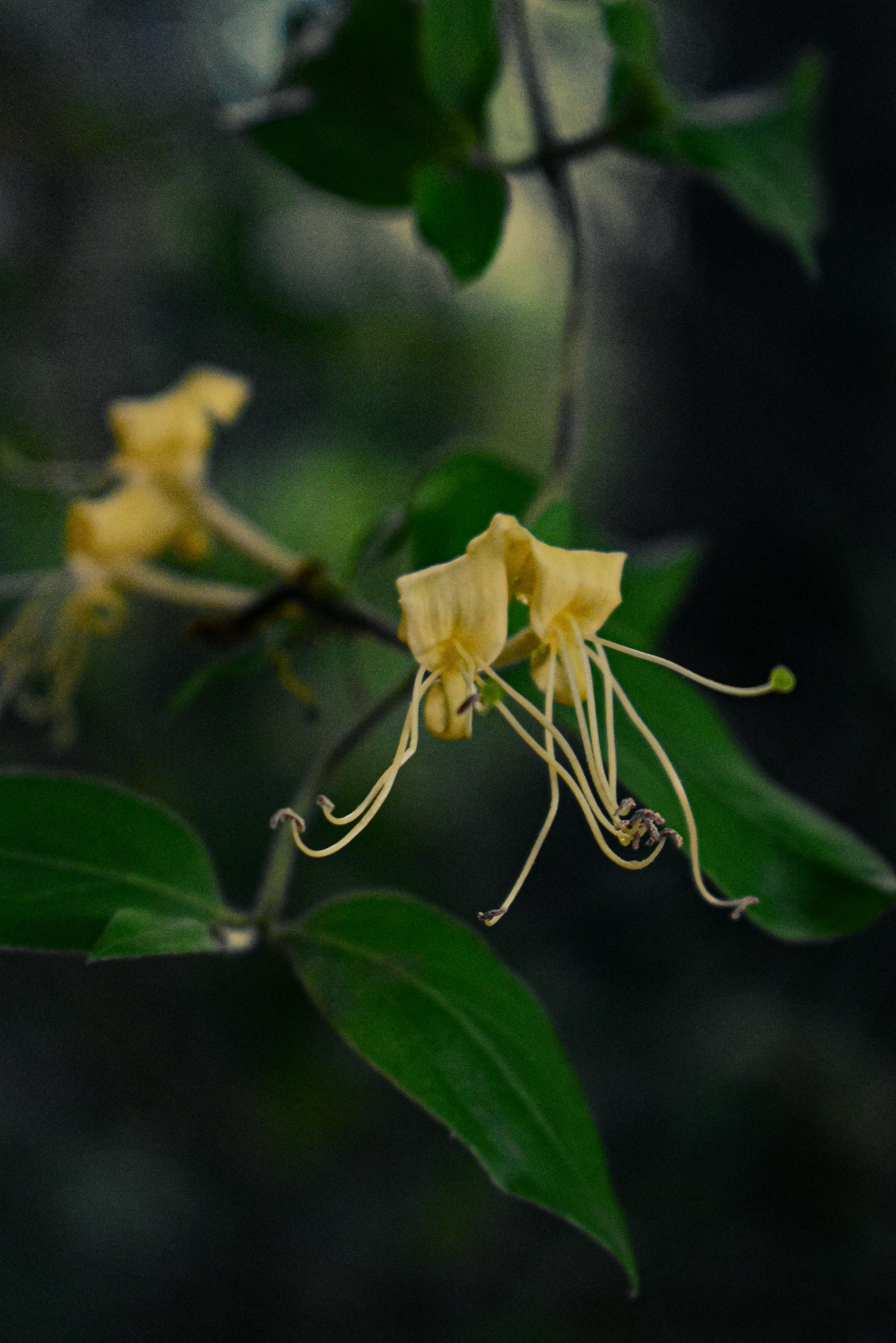 Wendy Maxwell - Fotografie