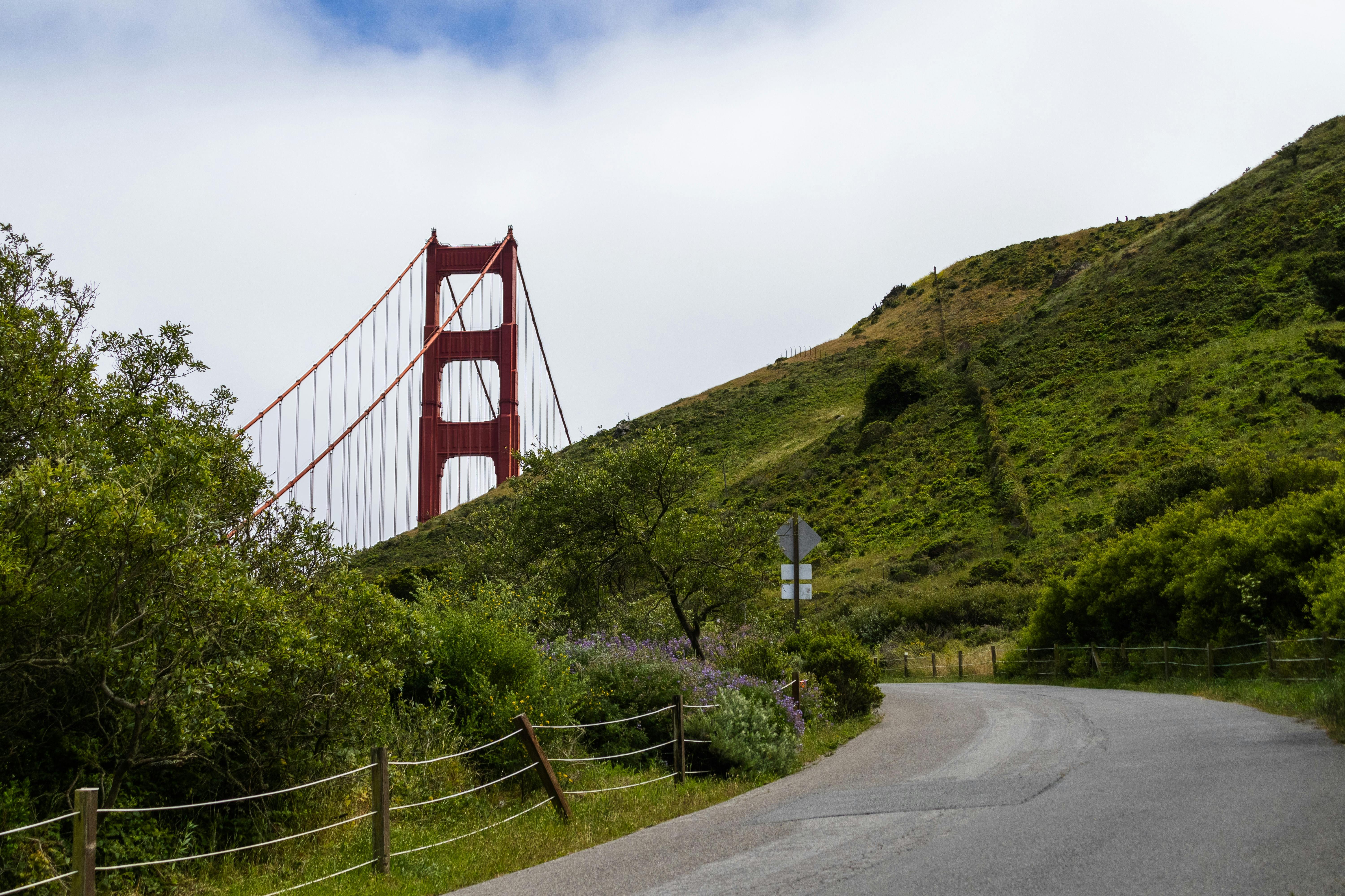 Landscape Photography of Red Cable Bridge · Free Stock Photo