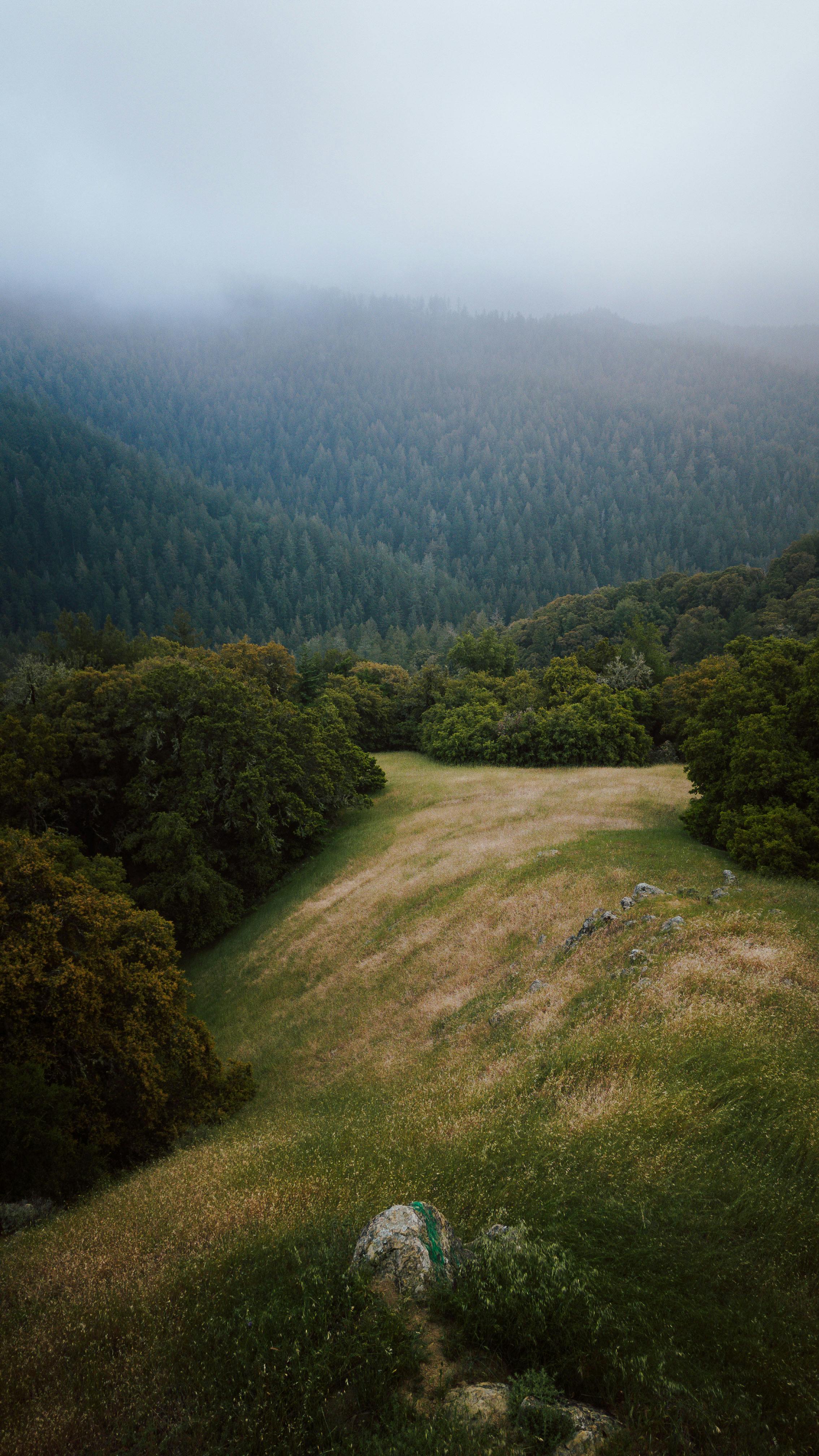 Row of Small Houses on a Forest Mountain · Free Stock Photo