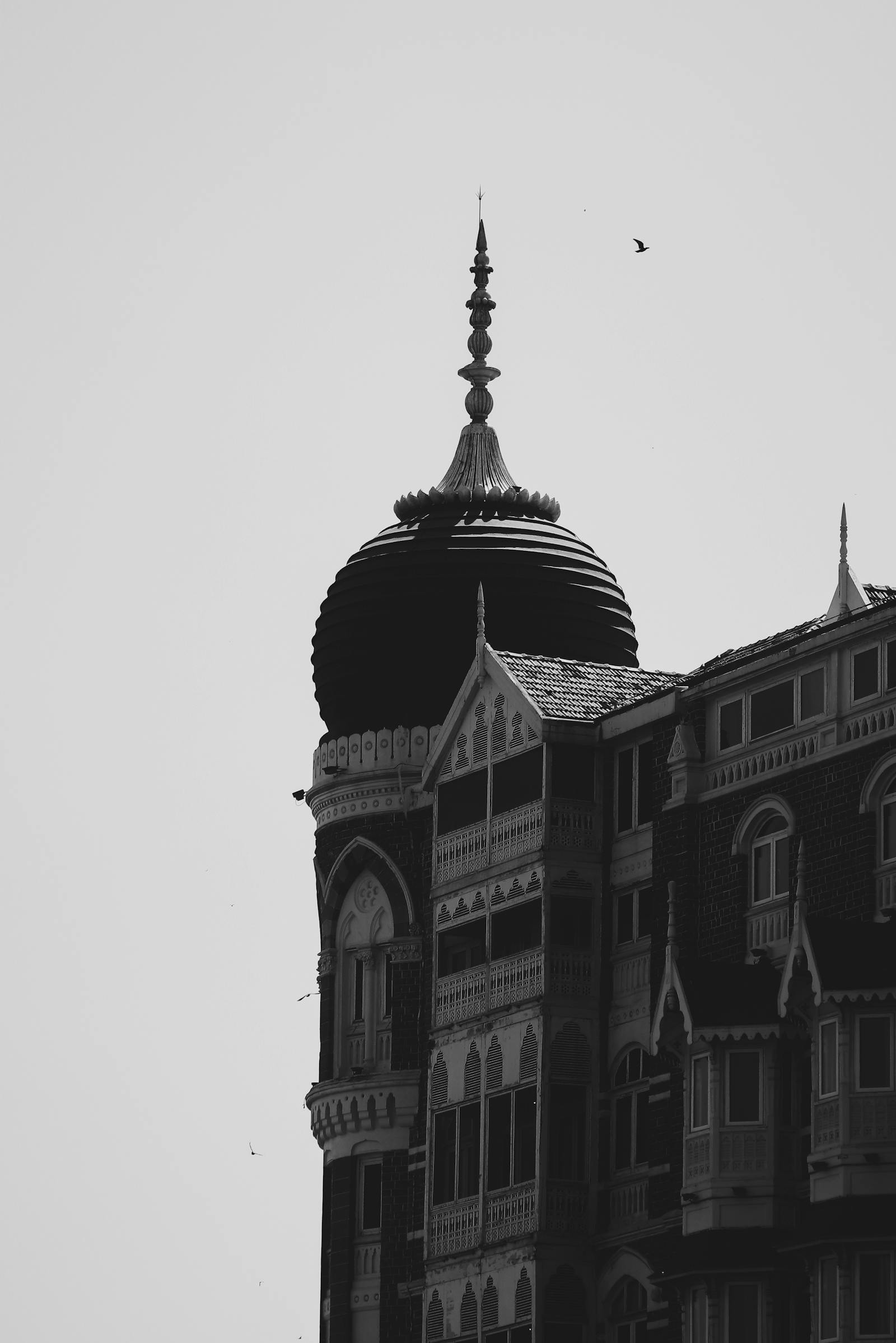 Taj Hotel Photos, Download The BEST Free Taj Hotel Stock Photos & HD Images