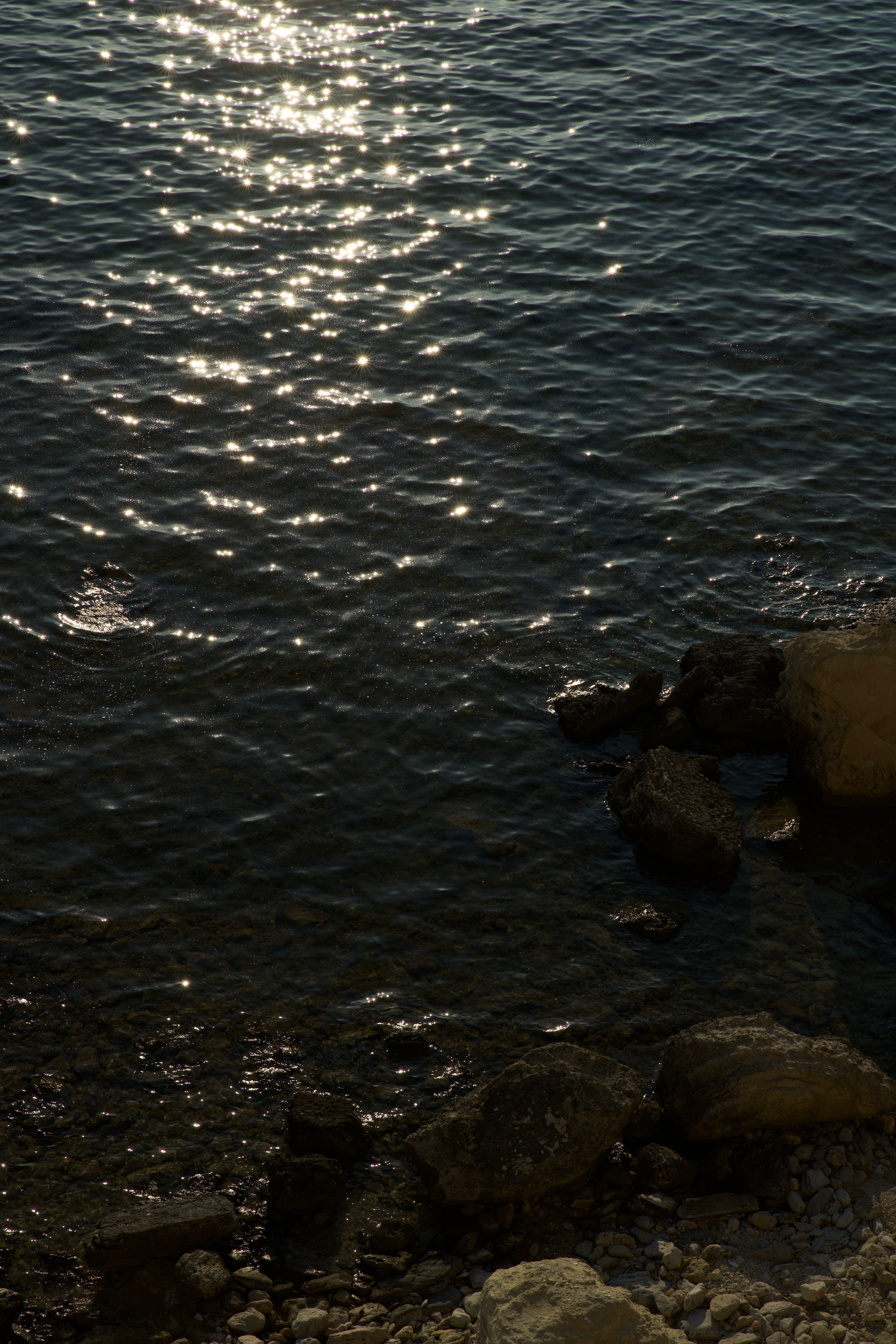 Shiny Water Surface · Free Stock Photo