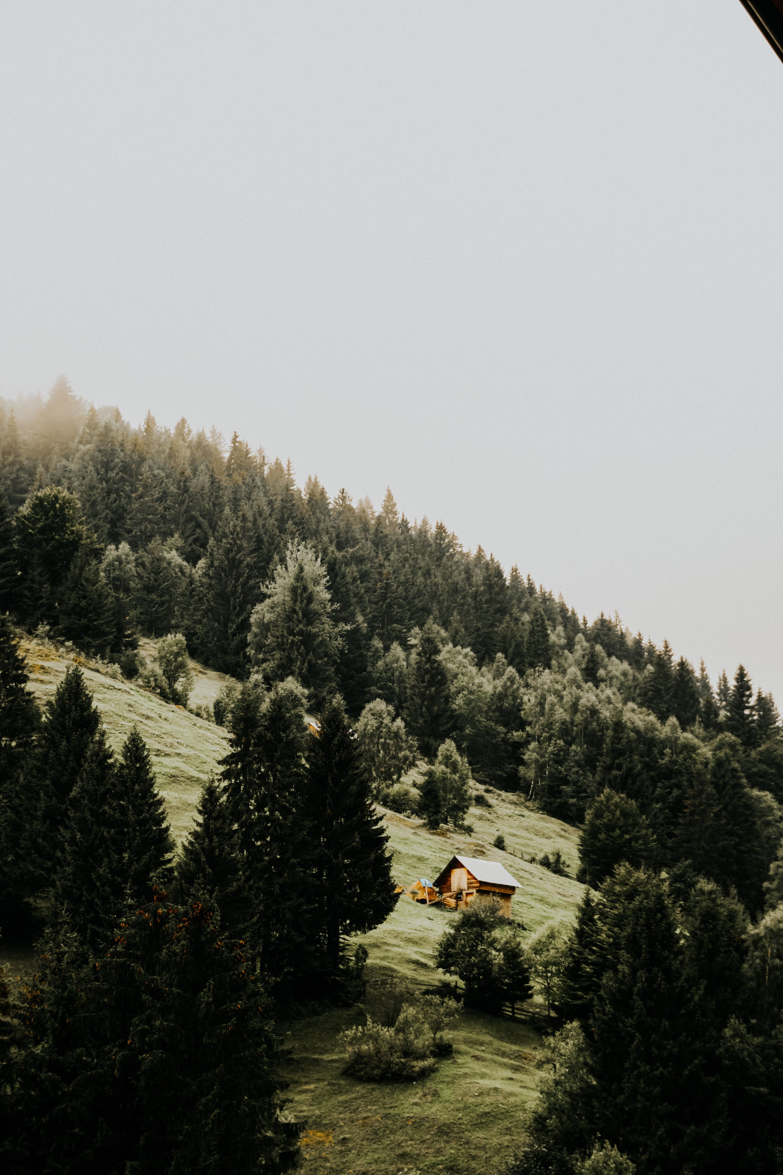 Scenic Landscape with a Hut on a Hillside · Free Stock Photo