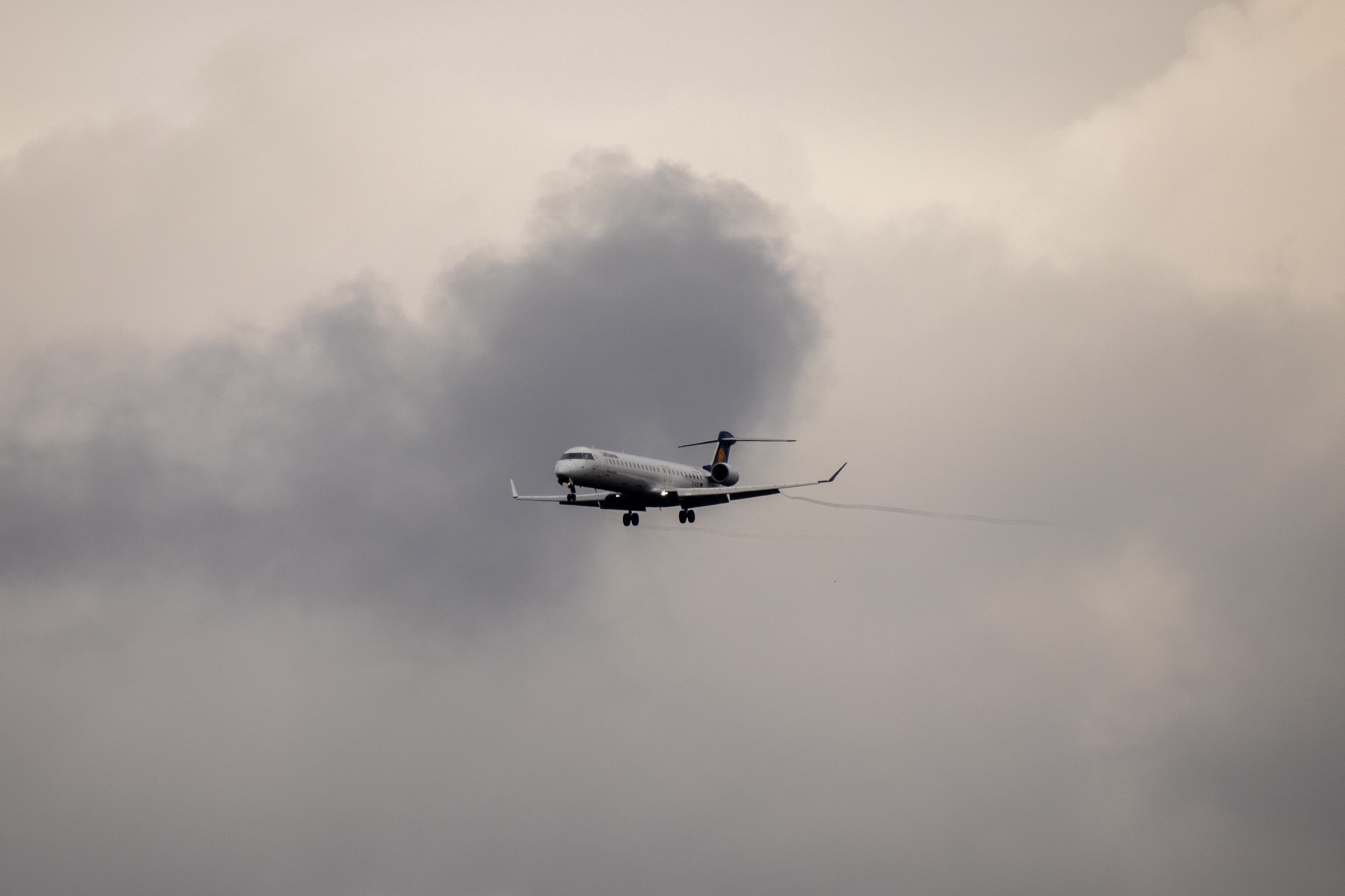 Silhouette Photo of Man Throw Paper Plane · Free Stock Photo