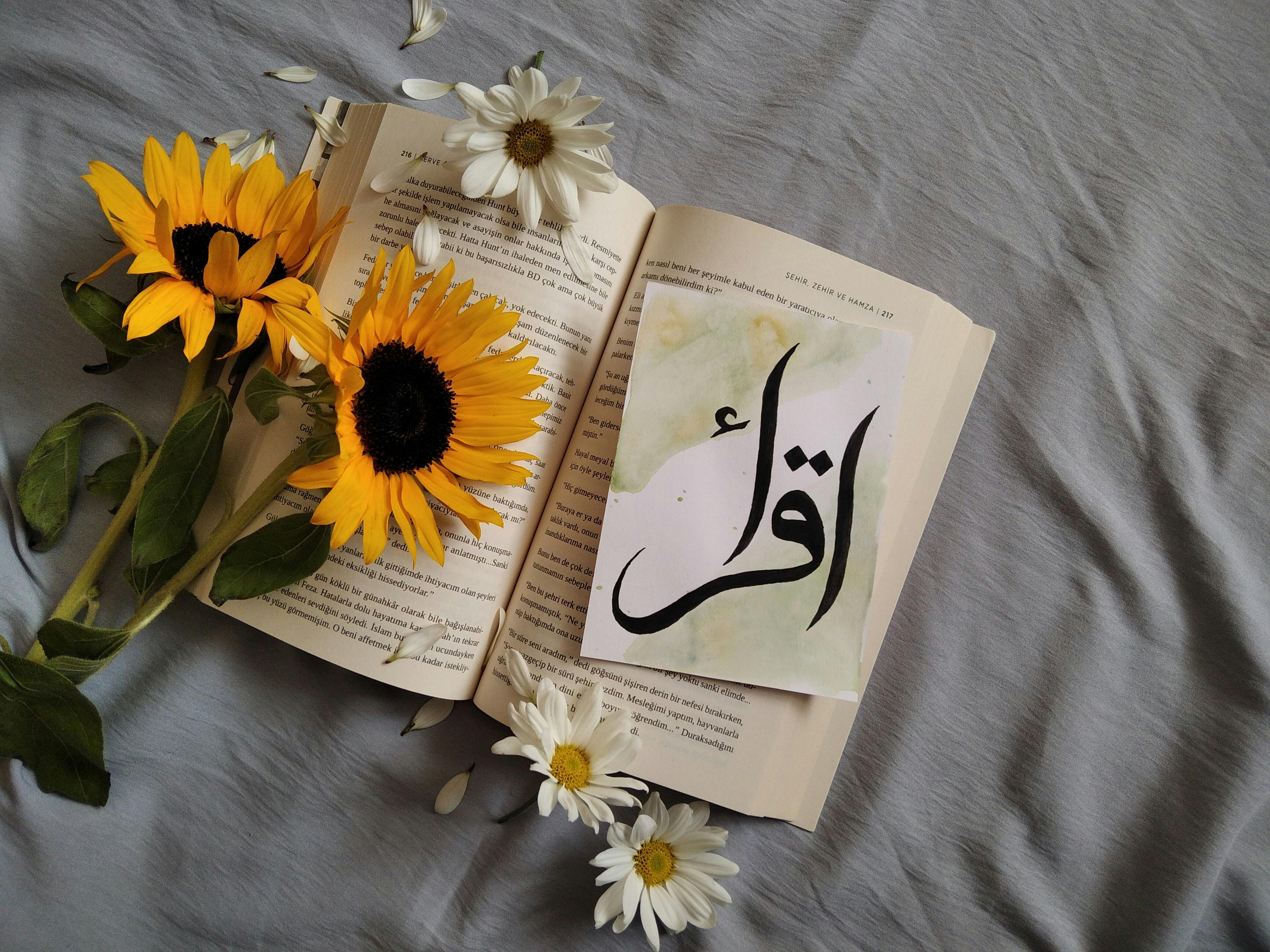 Top View of an Open Book with Sunflowers and Gerberas Lying on It ...
