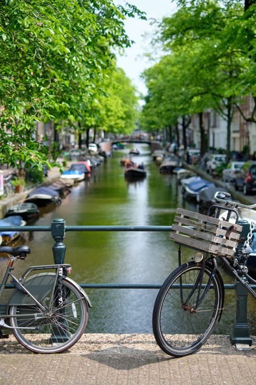 Bicycles on a bridge over a serene Amsterdam canal lined with trees