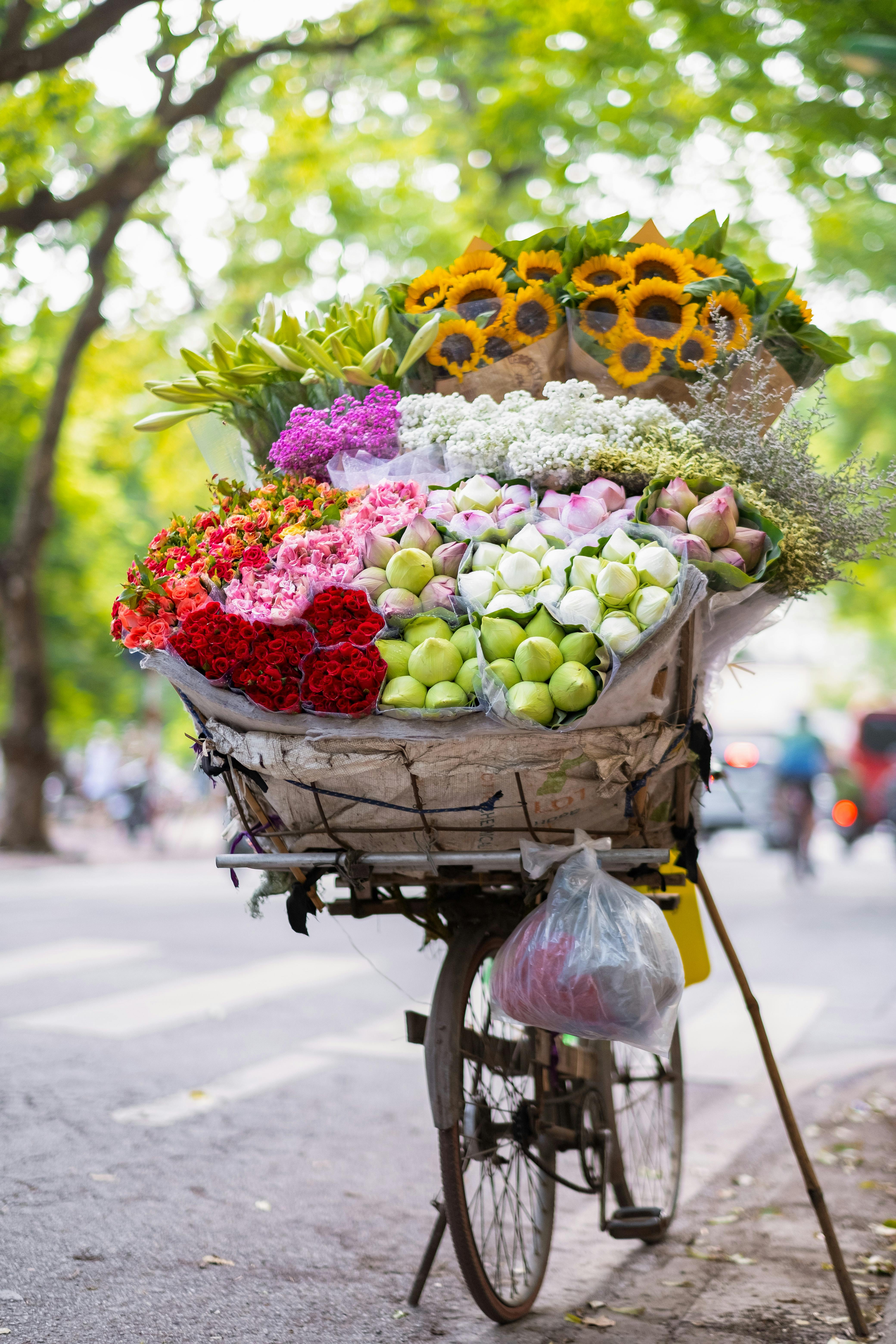 Colorful Flowers on Bicycle · Free Stock Photo
