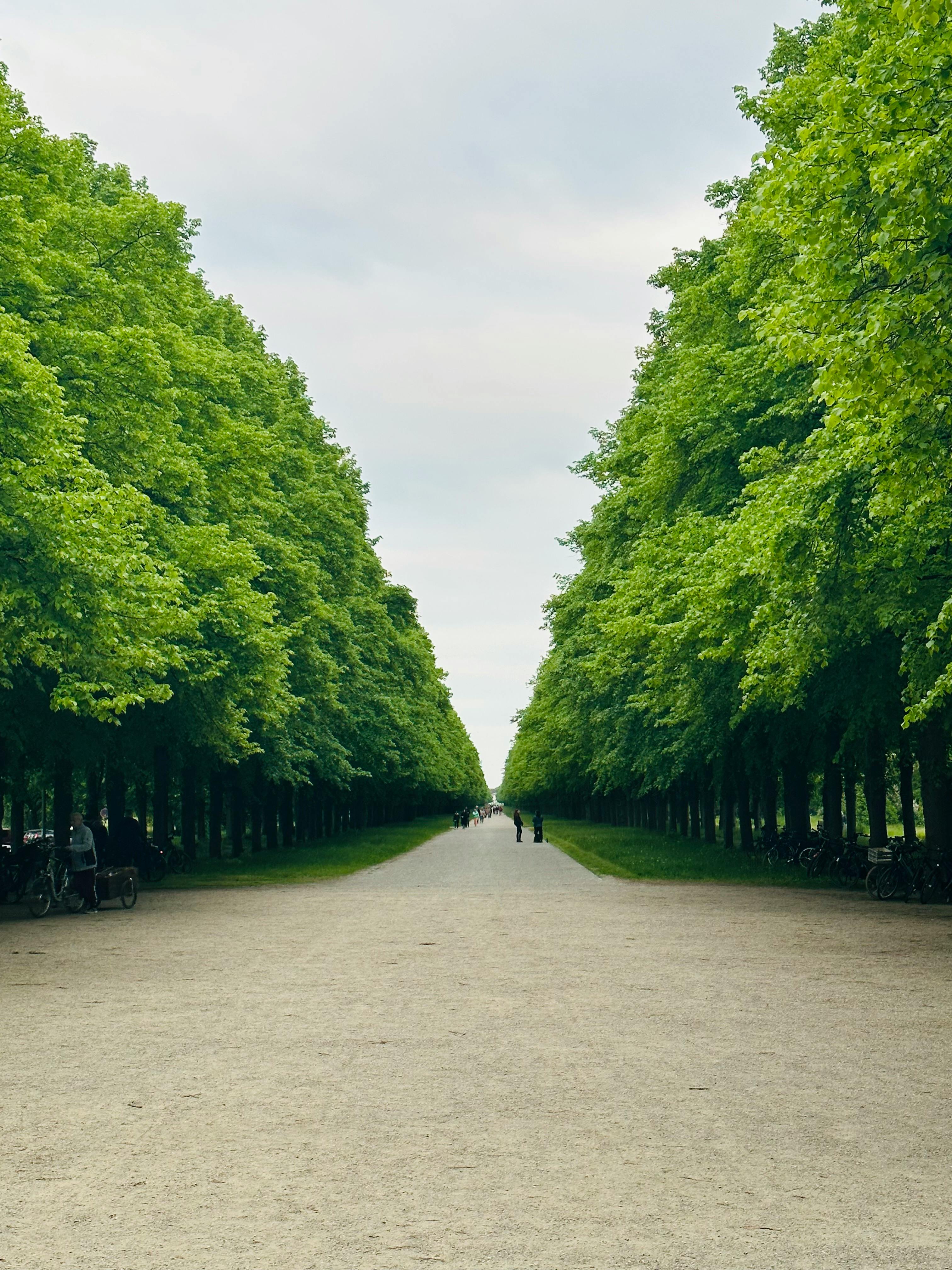 Lit Path Photos, Download The BEST Free Lit Path Stock Photos & HD Images