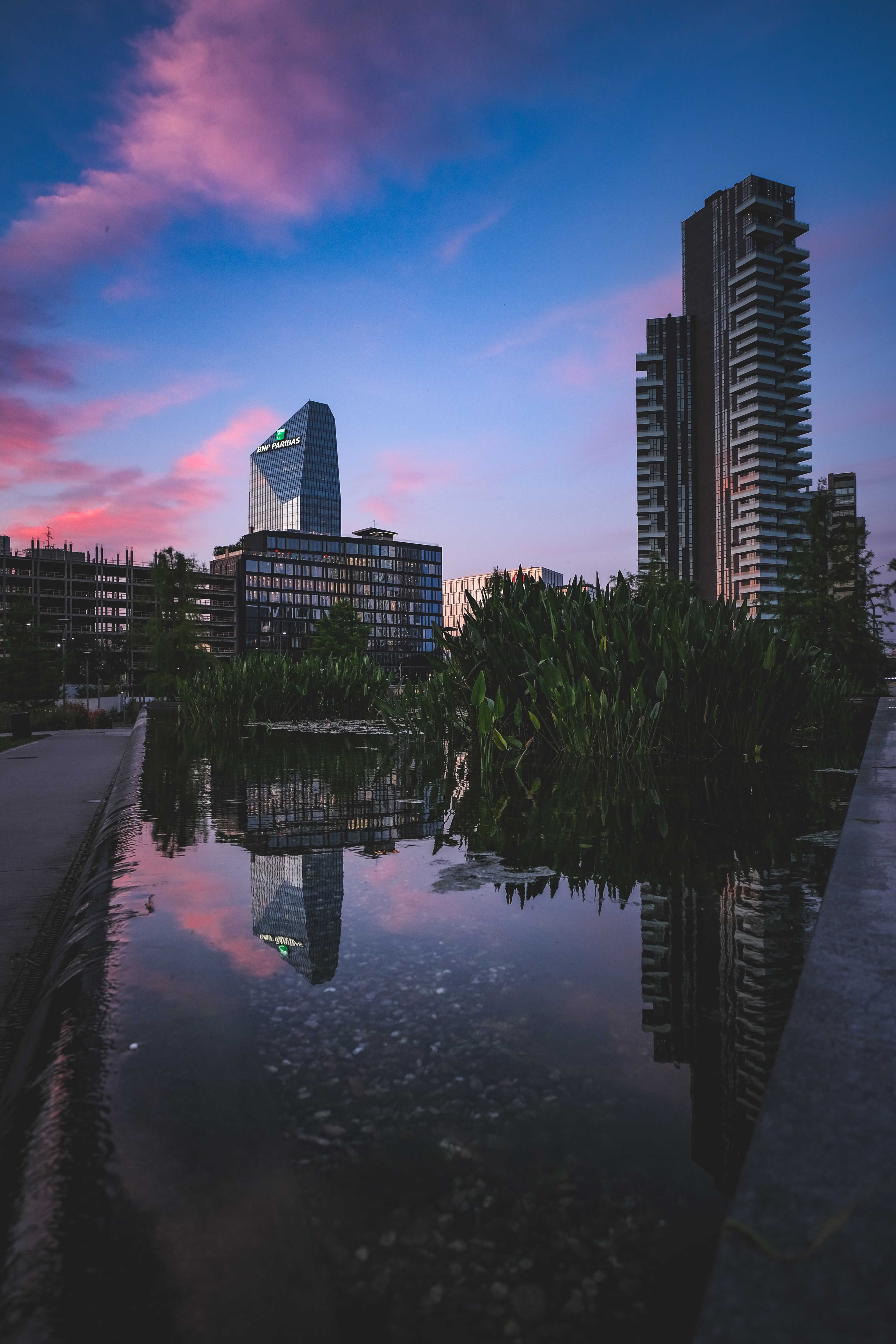 Buildings Reflection in Pond · Free Stock Photo