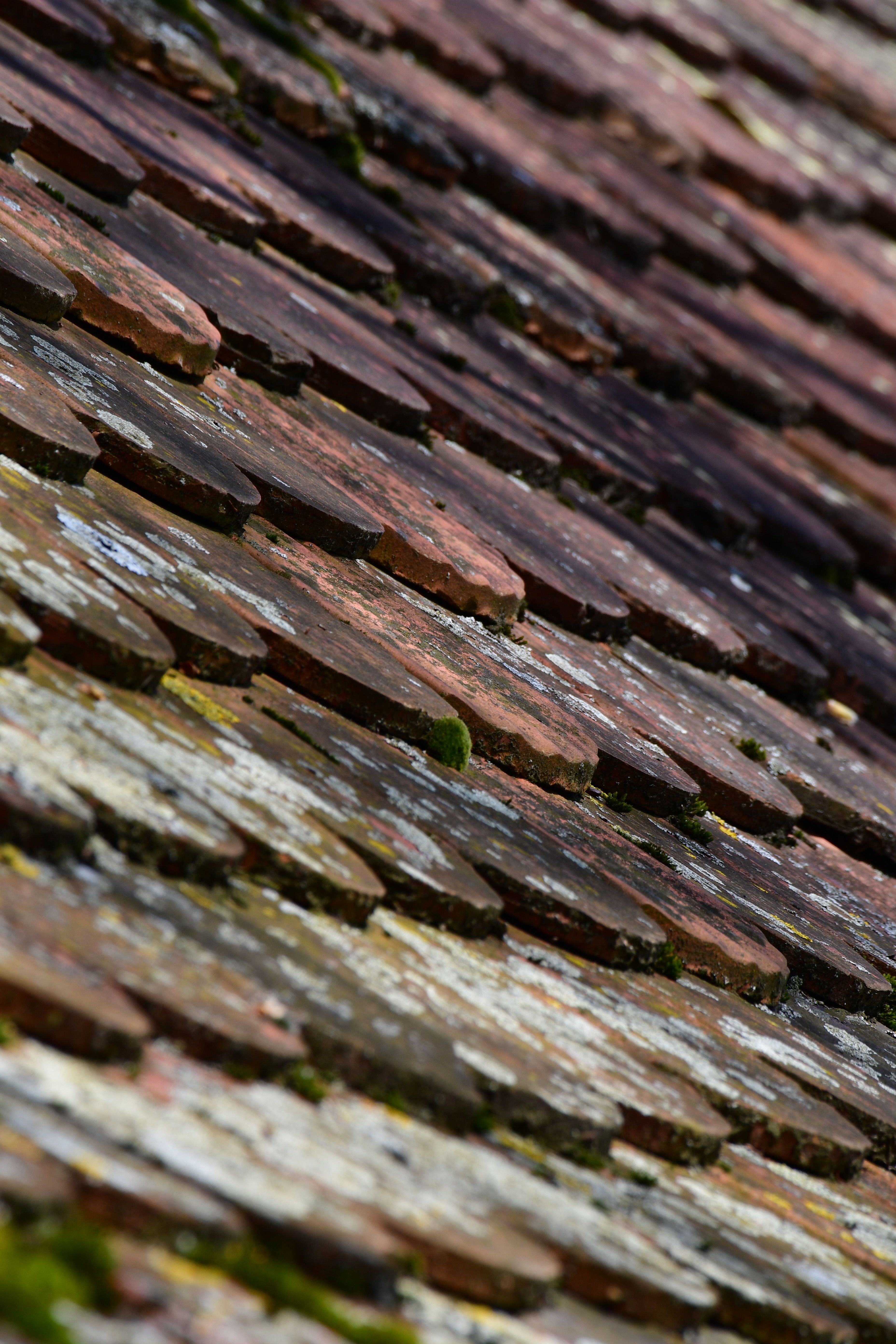 Natural Slate Roofing Photos, Download The BEST Free Natural Slate ...
