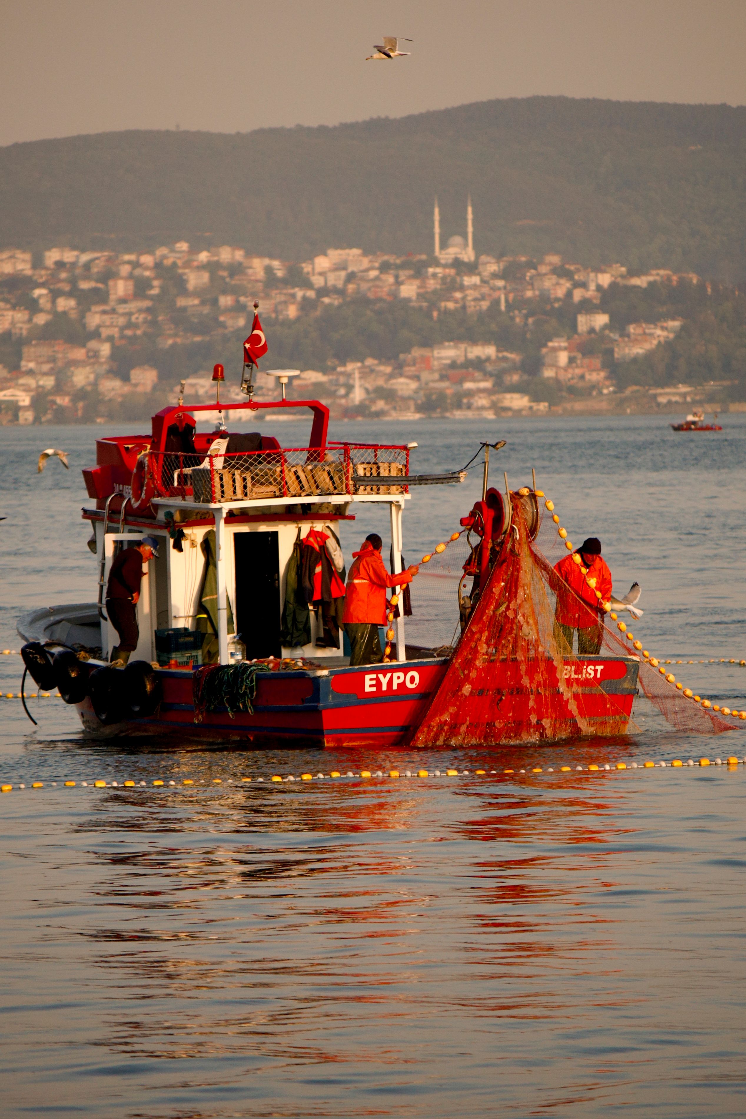 Men Working on a Fishing Boat · Free Stock Photo