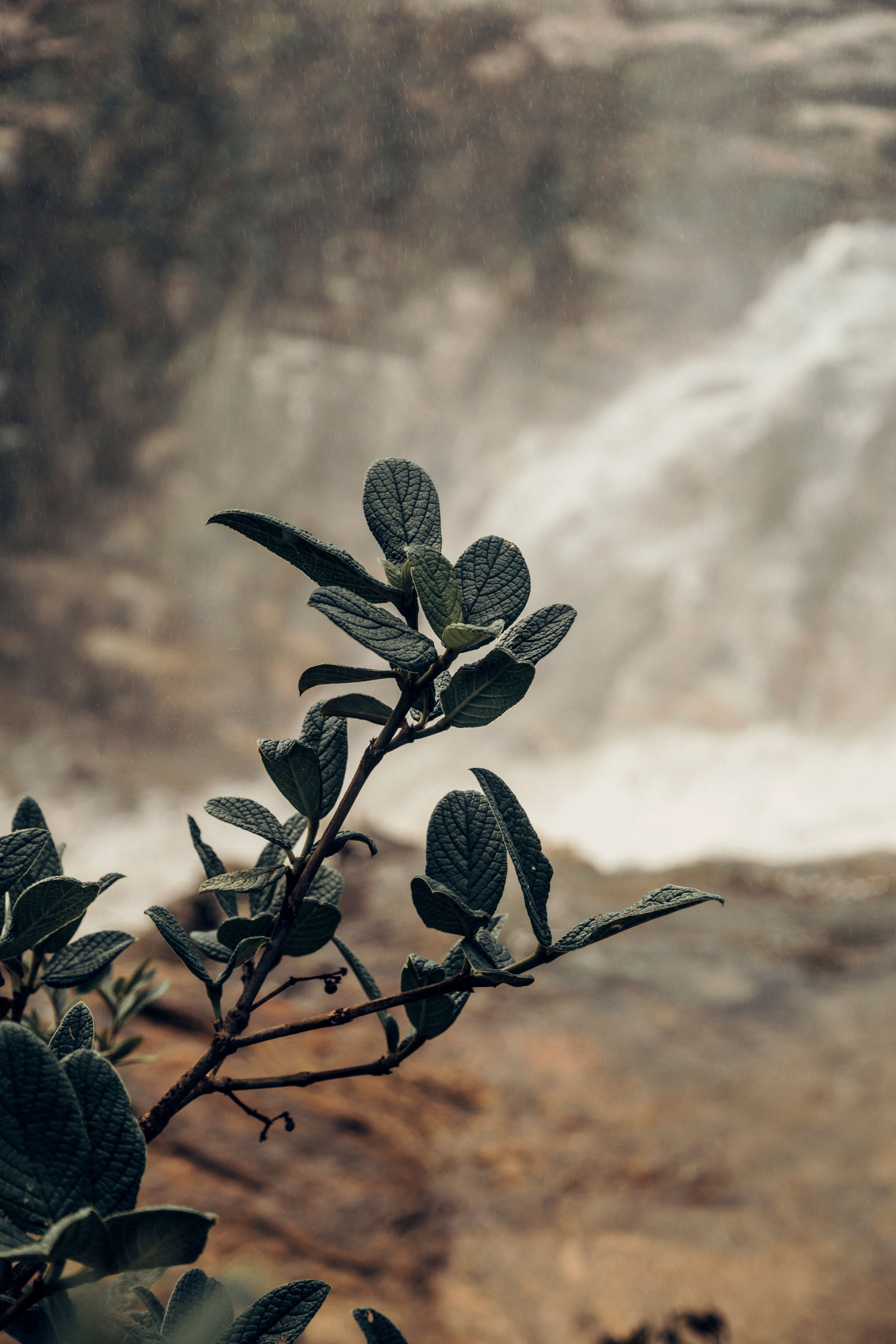Scenery Raw Image Photos, Download The BEST Free Scenery Raw Image ...