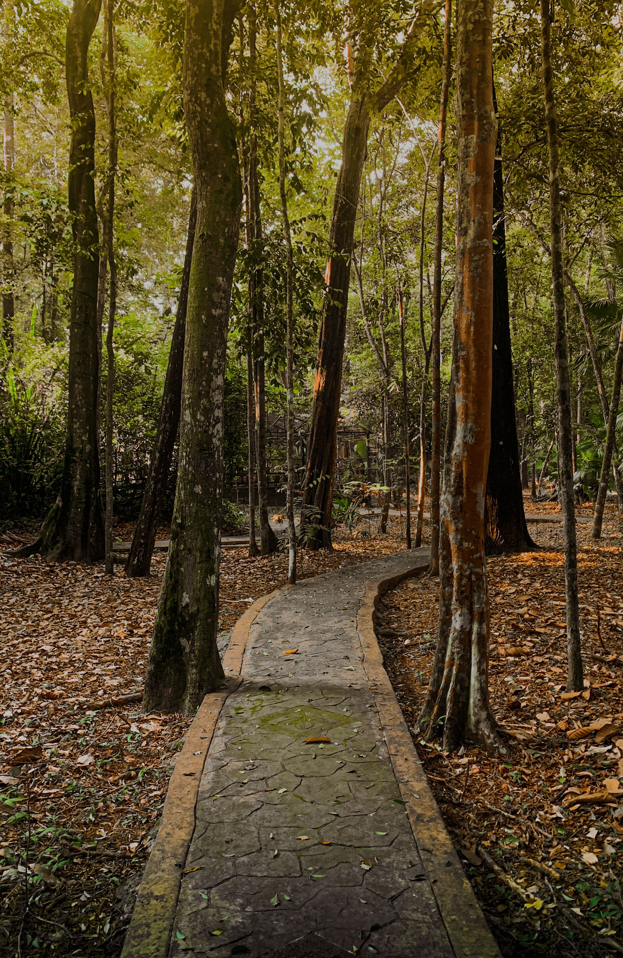 Walkway Paving Stones Photos, Download The BEST Free Walkway Paving ...
