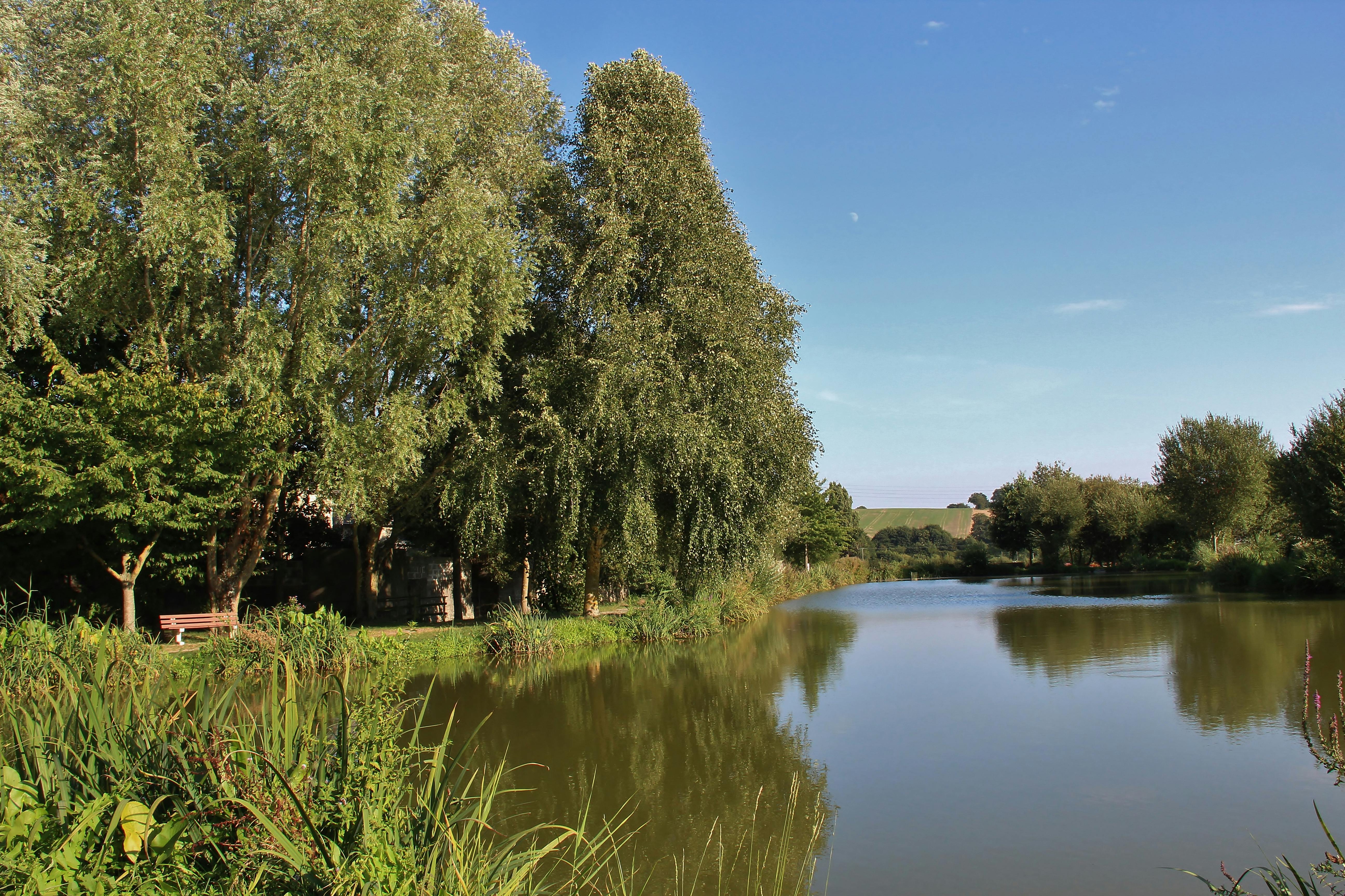 Bruno Charlier - Photographie