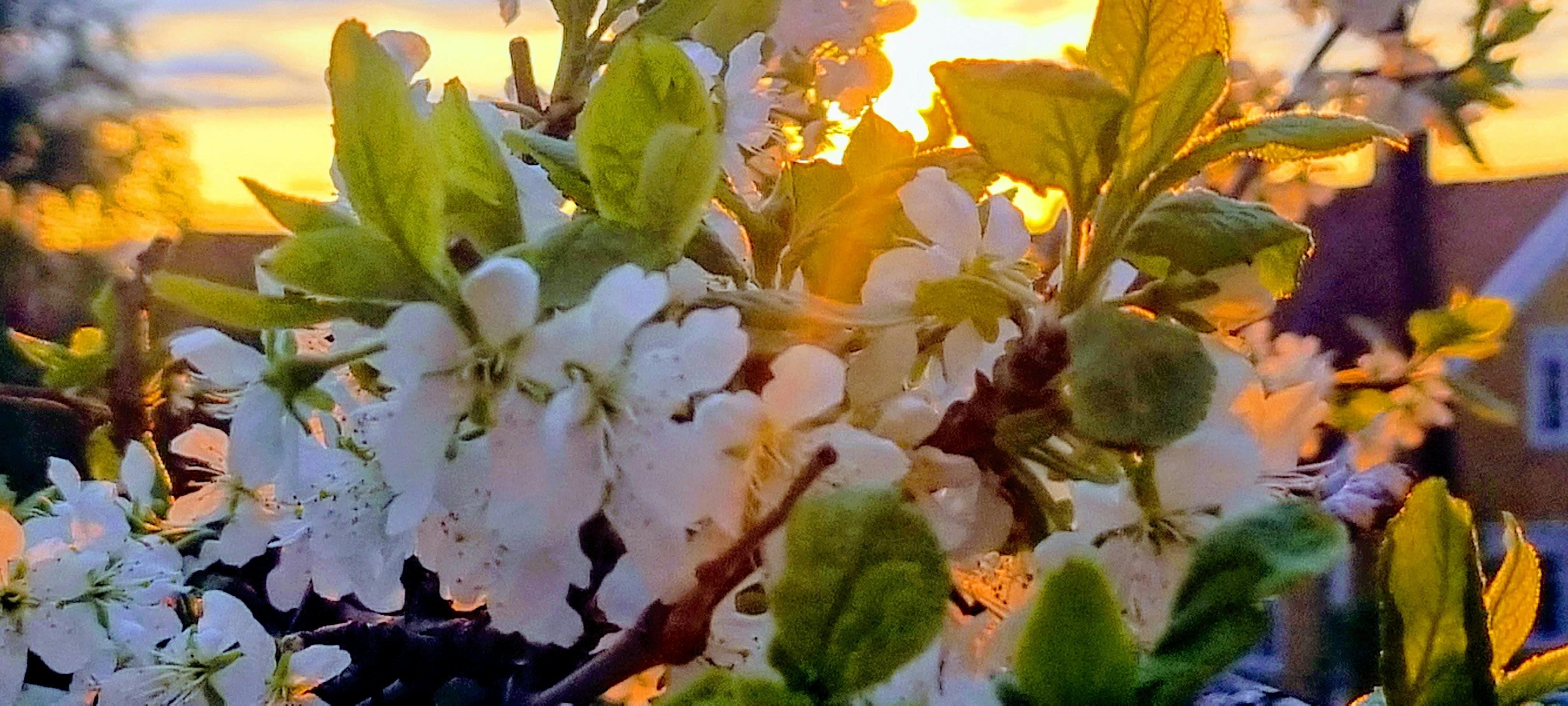 Lars Bugge Aarset - Photography