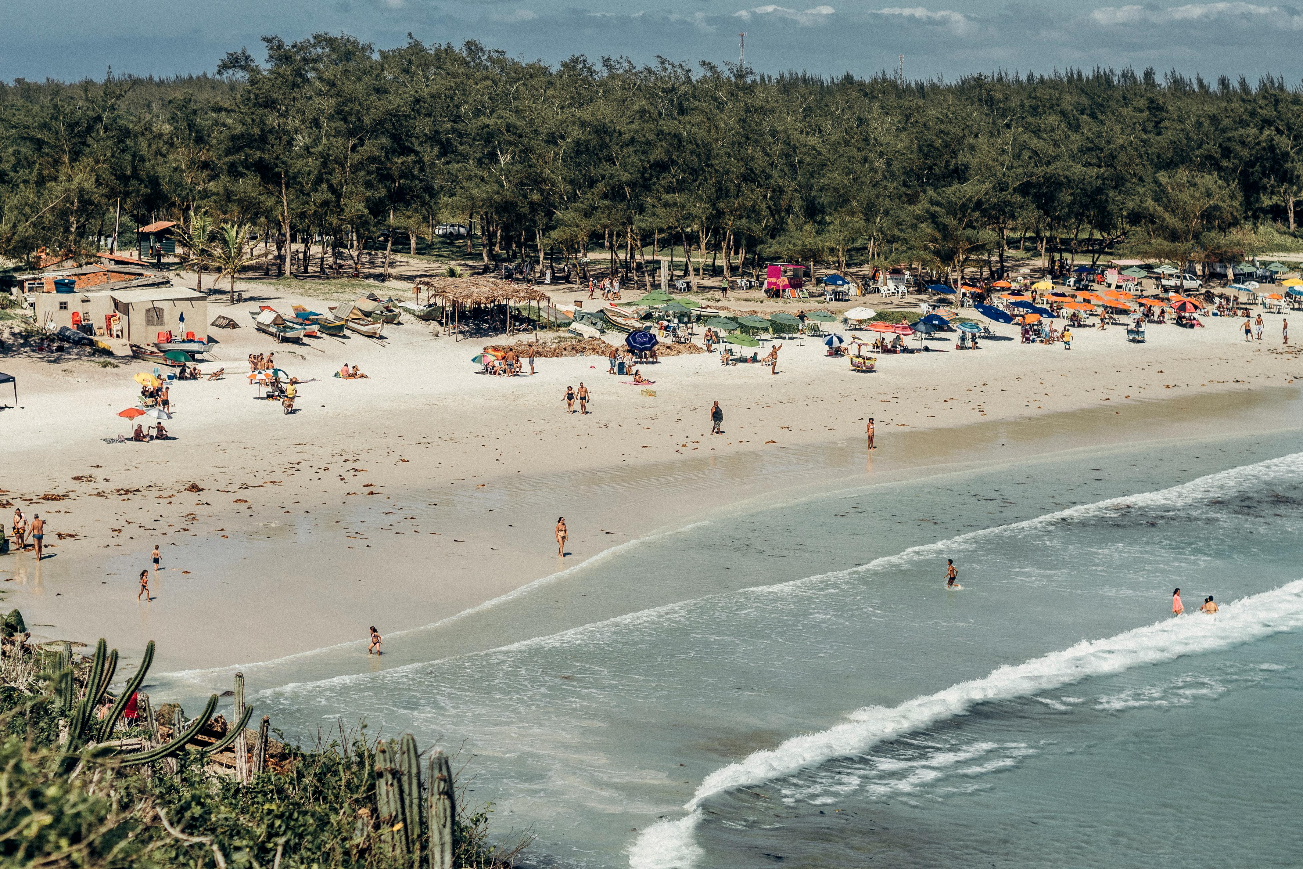 Beach And Forest Photos, Download The BEST Free Beach And Forest Stock ...