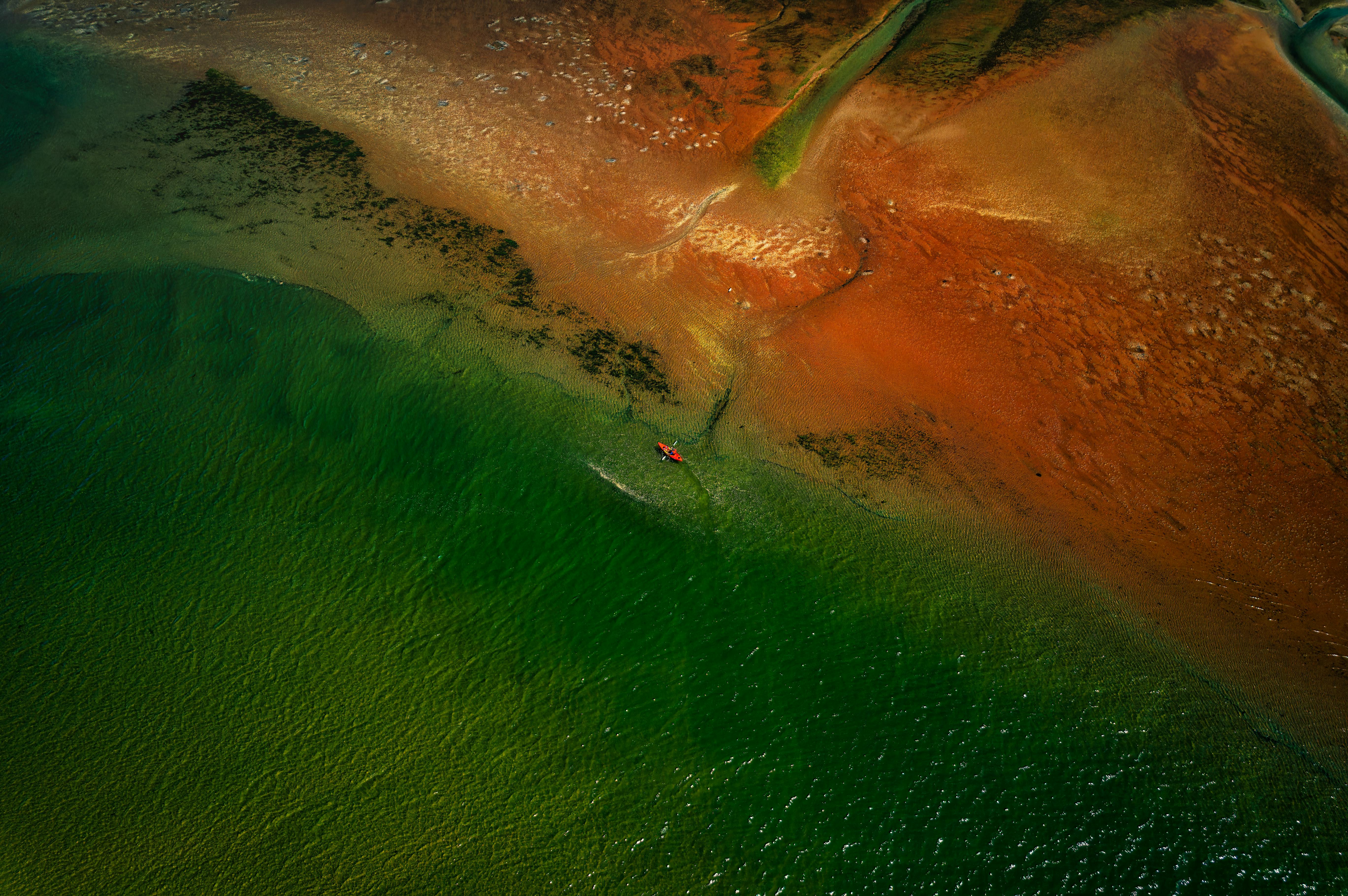 Find Your Wild · Free Stock Photo