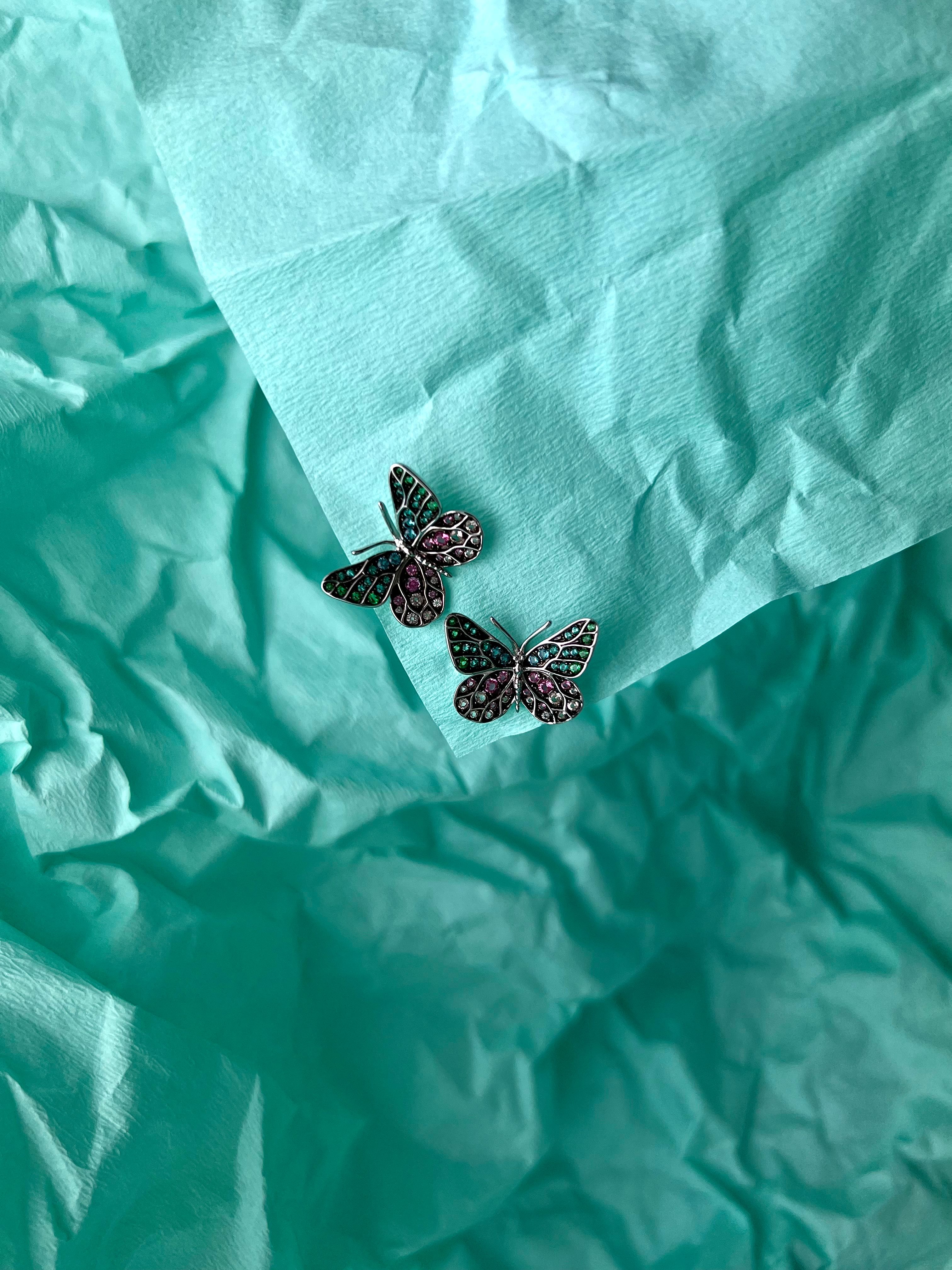 Blue Butterflies Photos, Download The BEST Free Blue Butterflies Stock ...