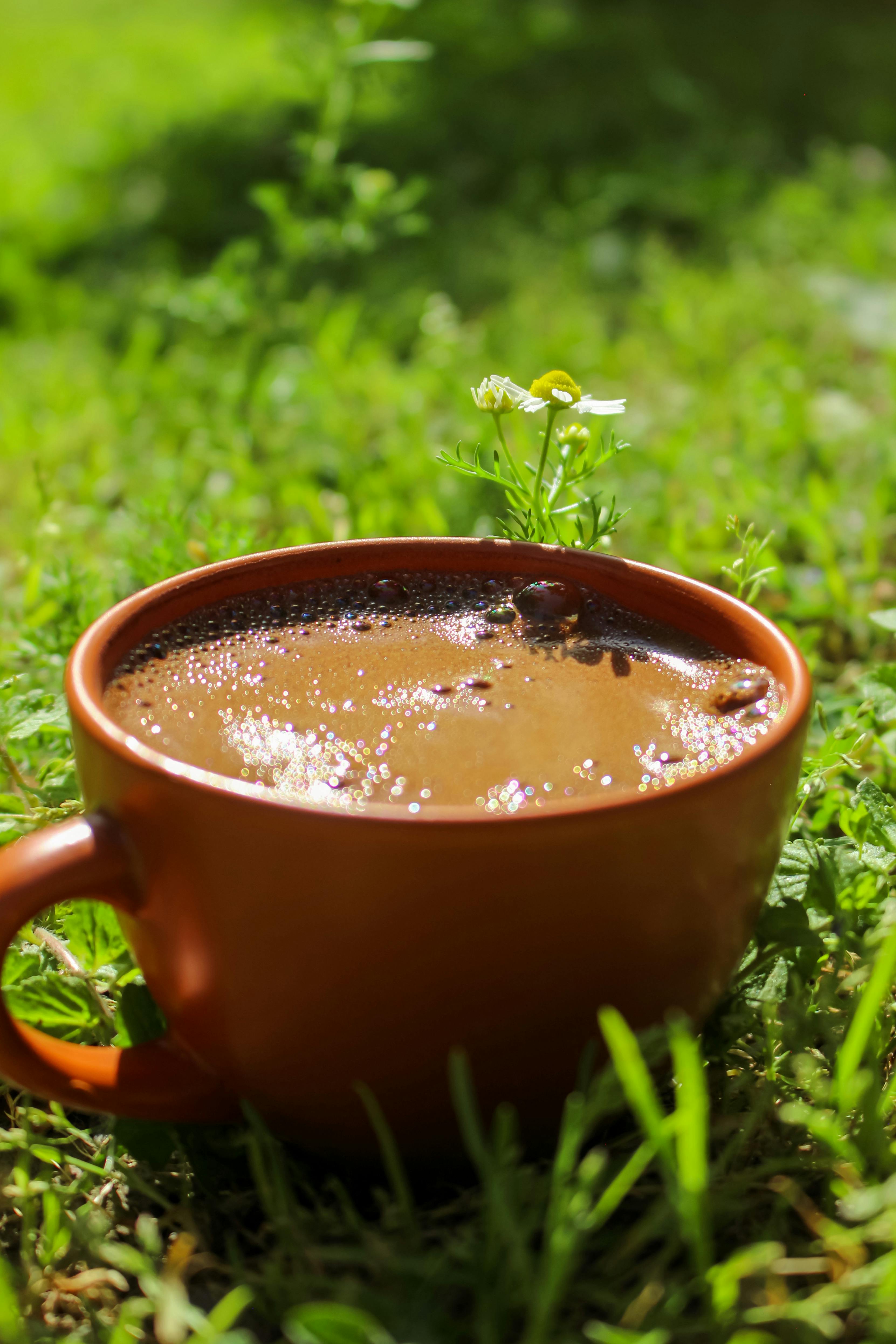 Coffee Mug in Grass · Free Stock Photo