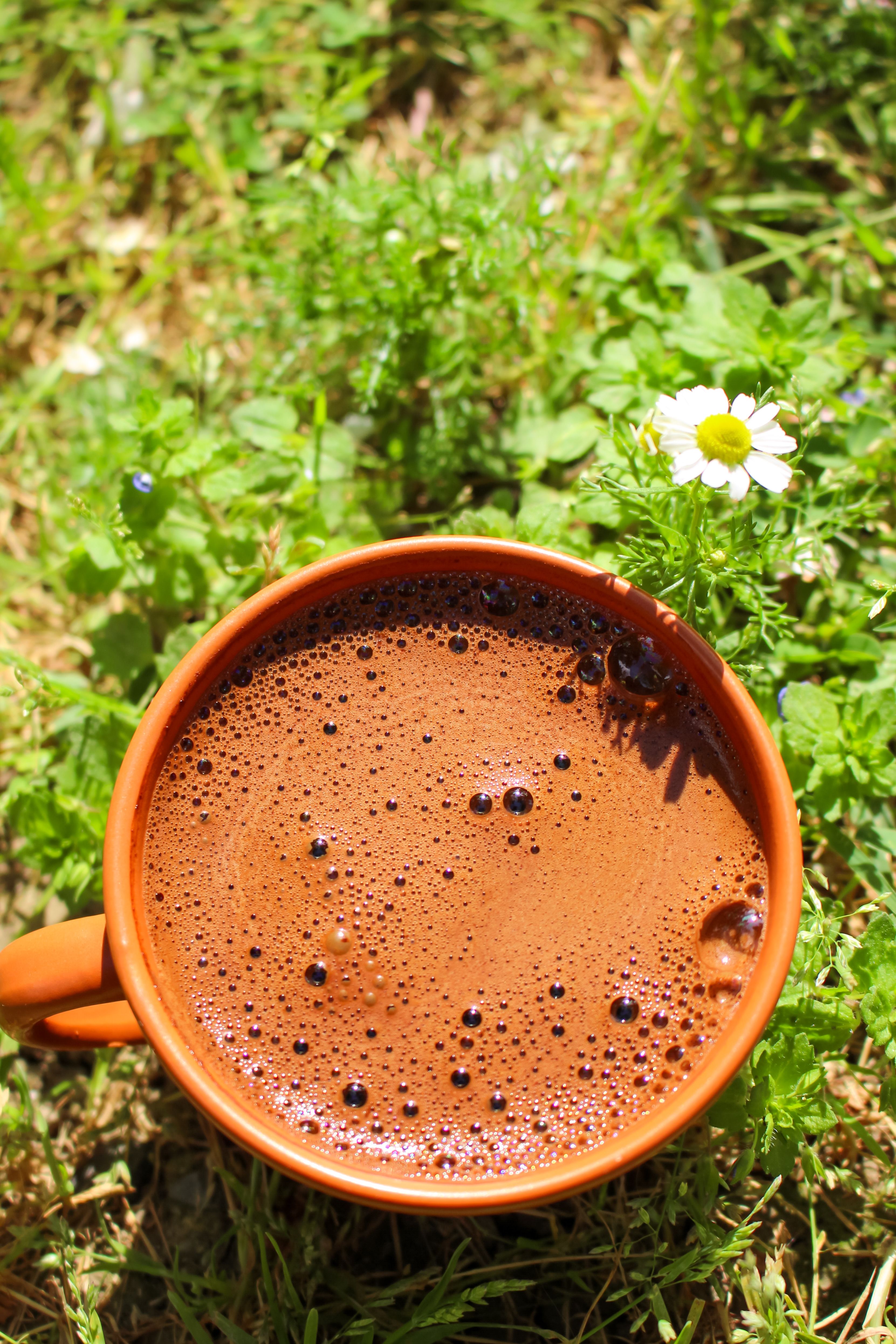 Cup of Coffee on Grass · Free Stock Photo