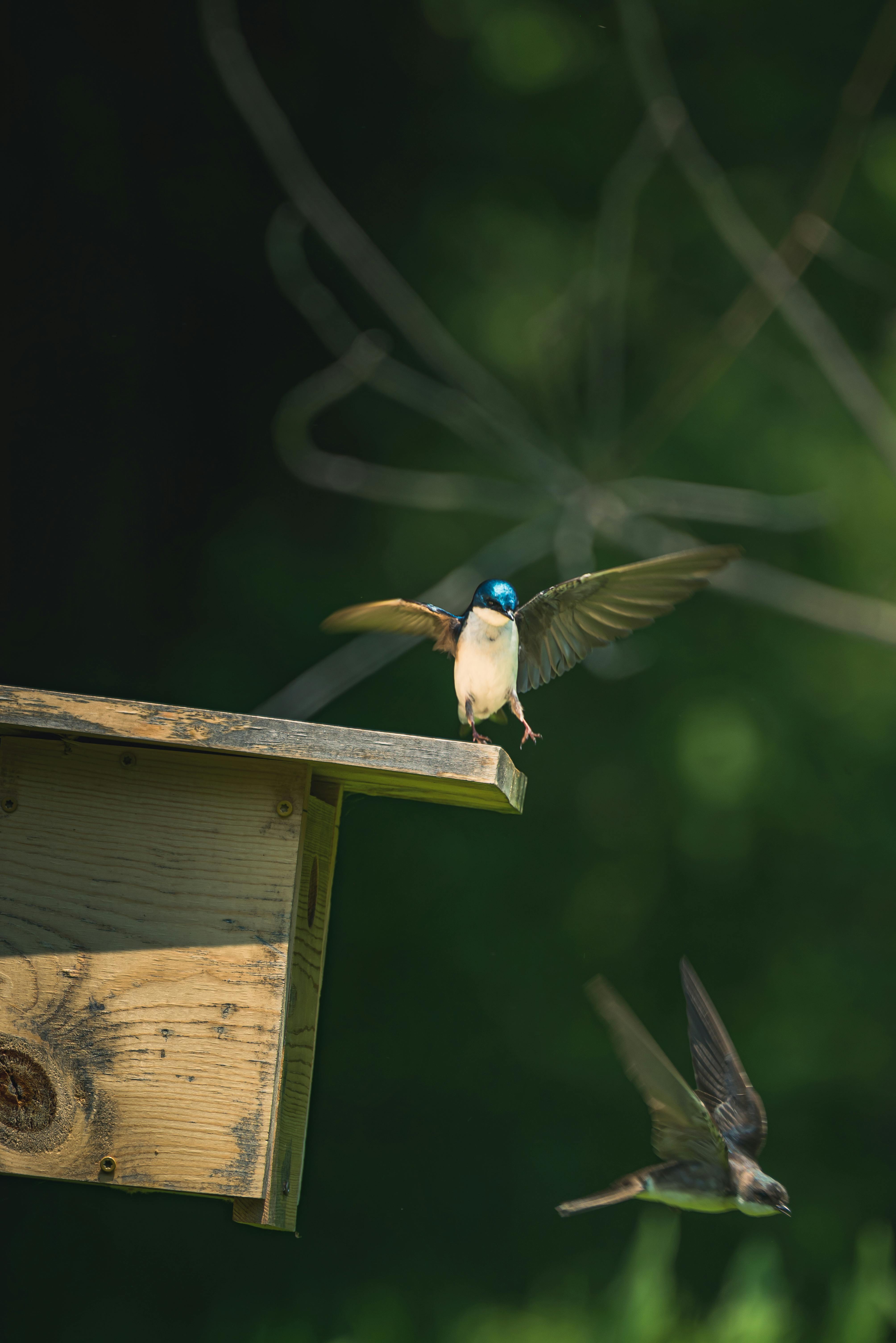 Shuttle Box Photos, Download The BEST Free Shuttle Box Stock Photos ...