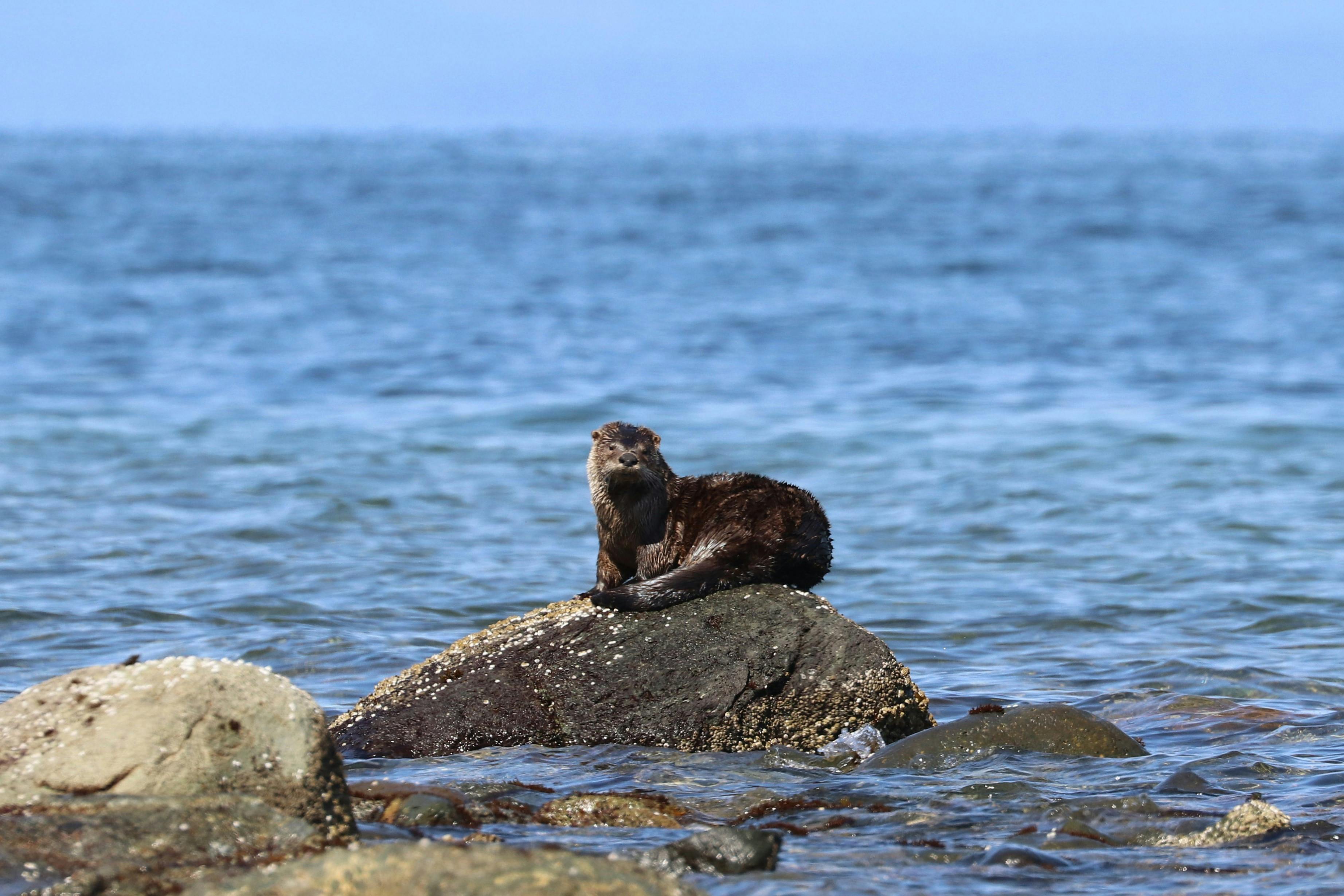 marnock - Fotografía