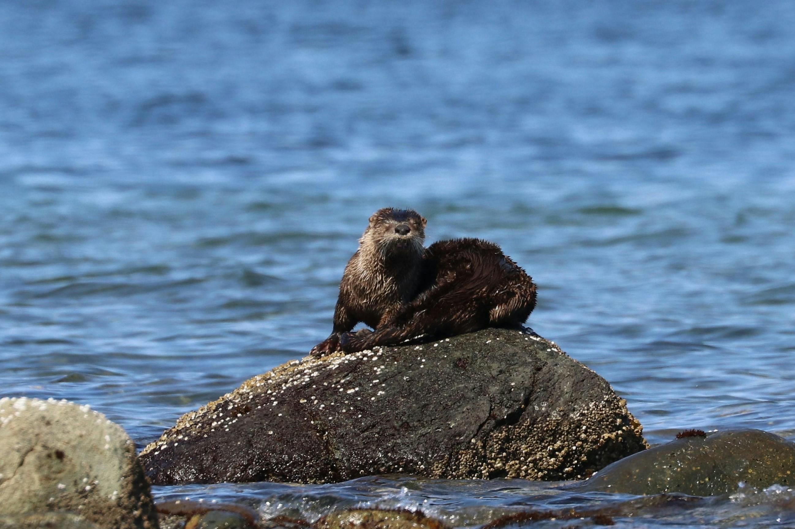 marnock - Fotografía