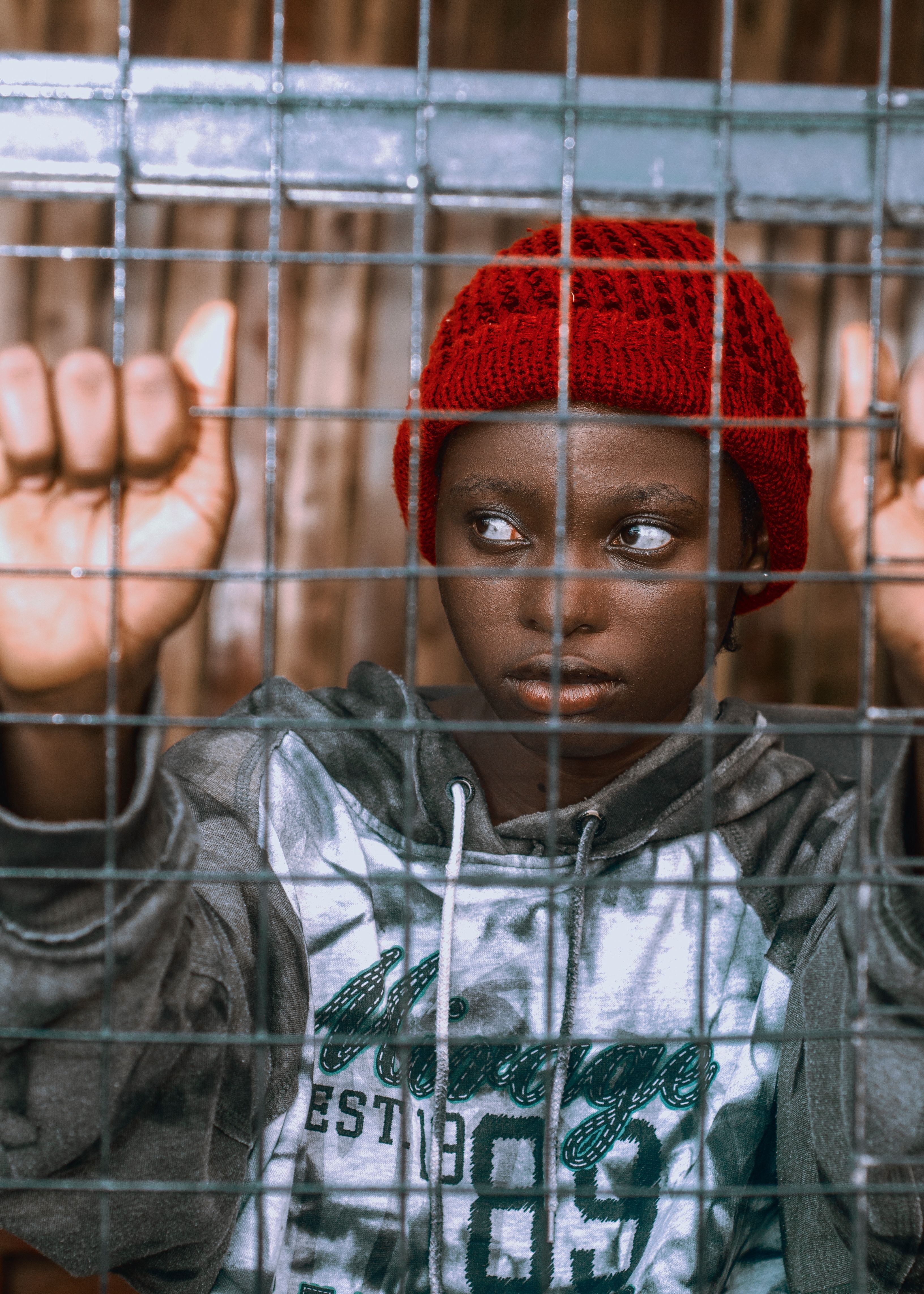Looking Through Bars Photos, Download The BEST Free Looking Through ...