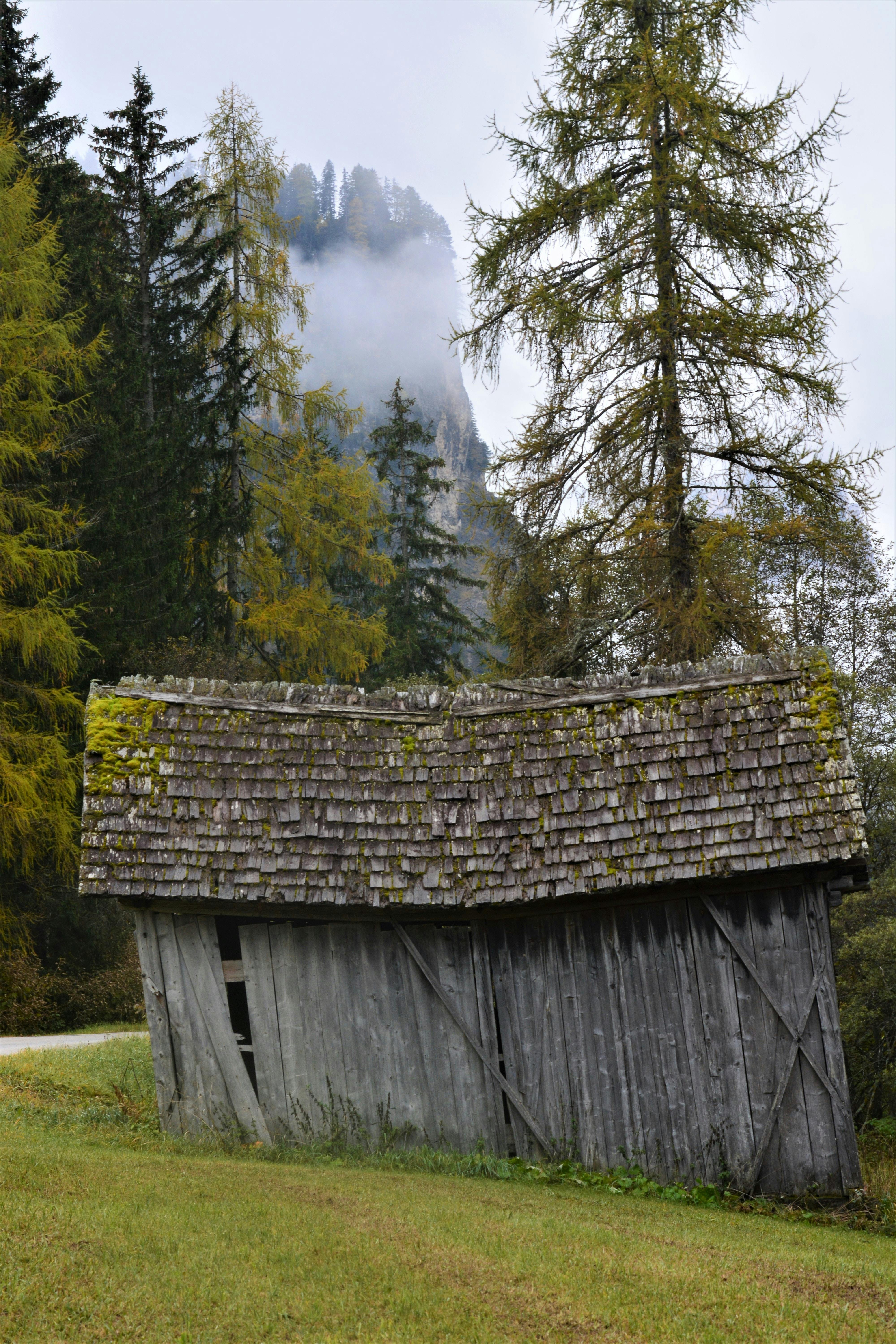 An Old Wooden Hut in Mountains · Free Stock Photo