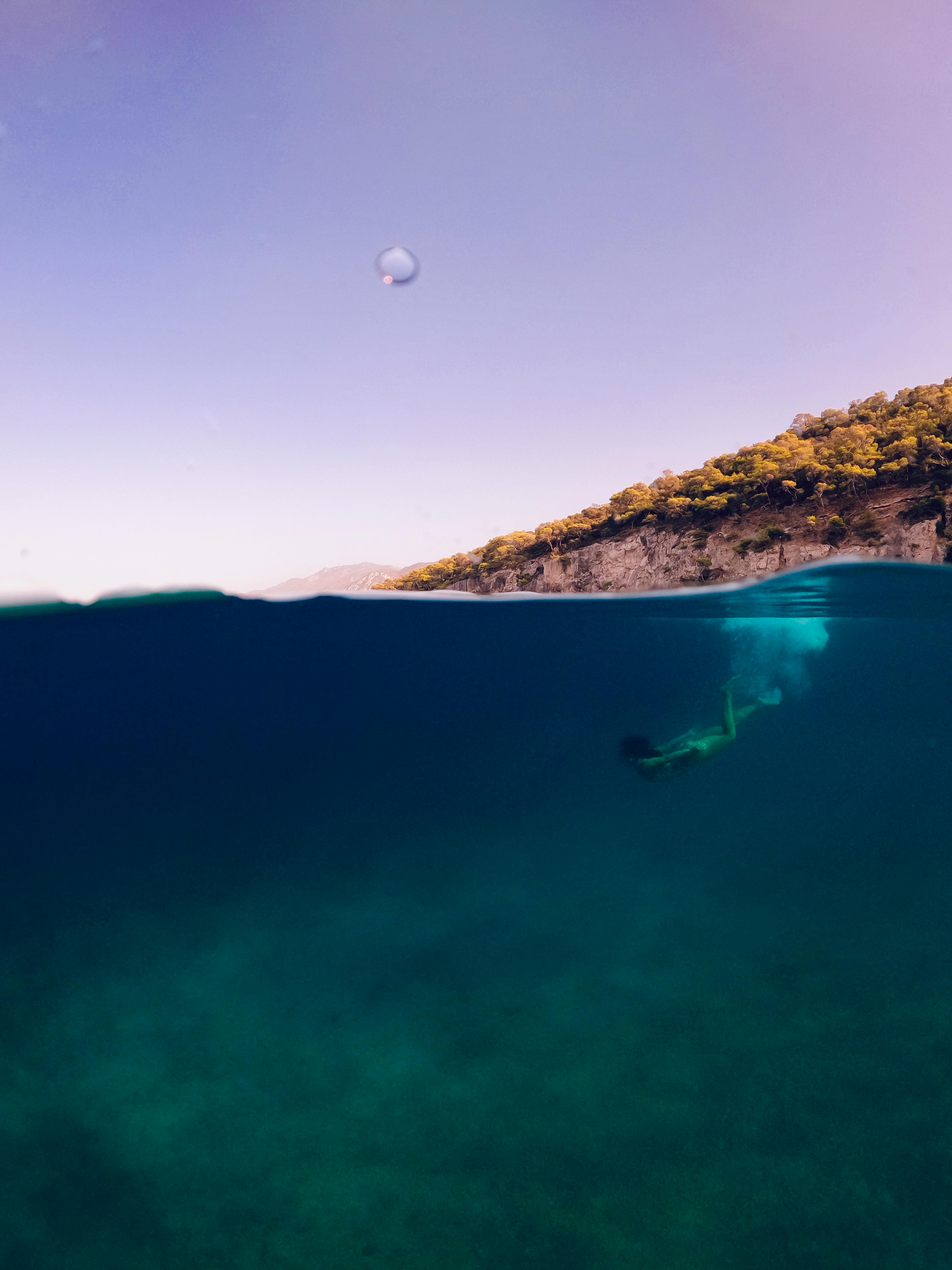 Suba Diver · Free Stock Photo