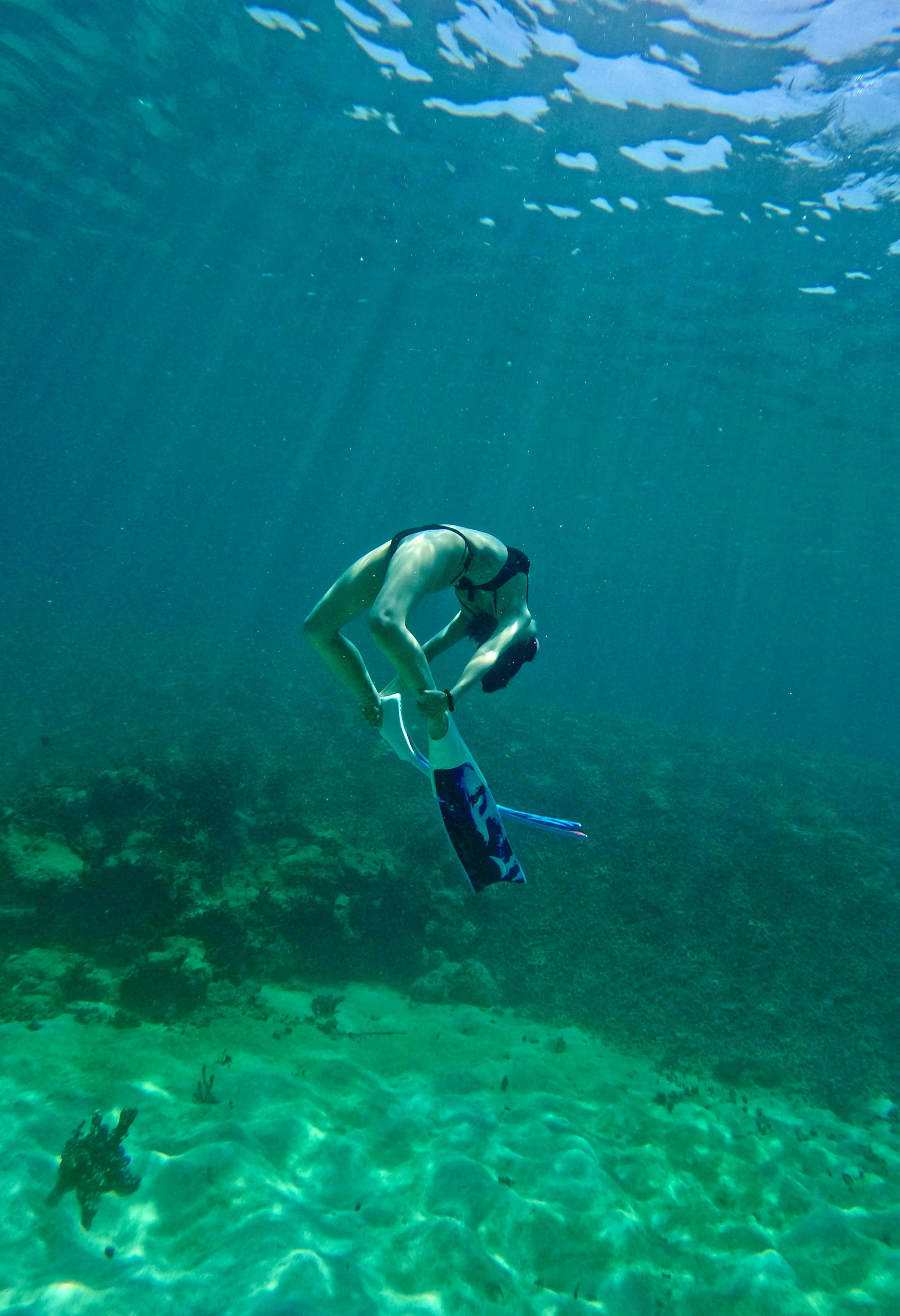 Under The Sea Photos, Download The BEST Free Under The Sea Stock Photos ...