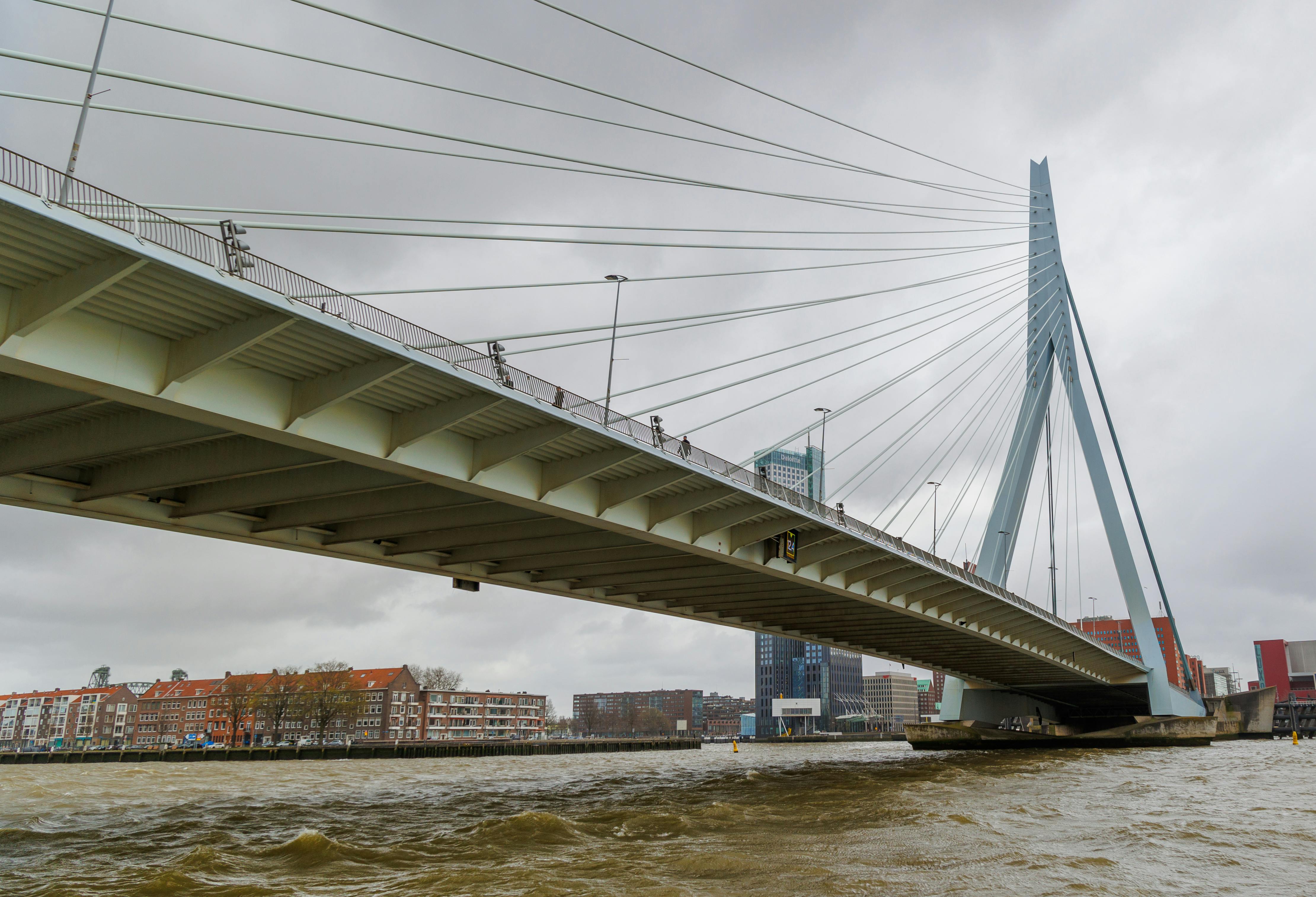 Erasmusbrug in Rotterdam · Free Stock Photo