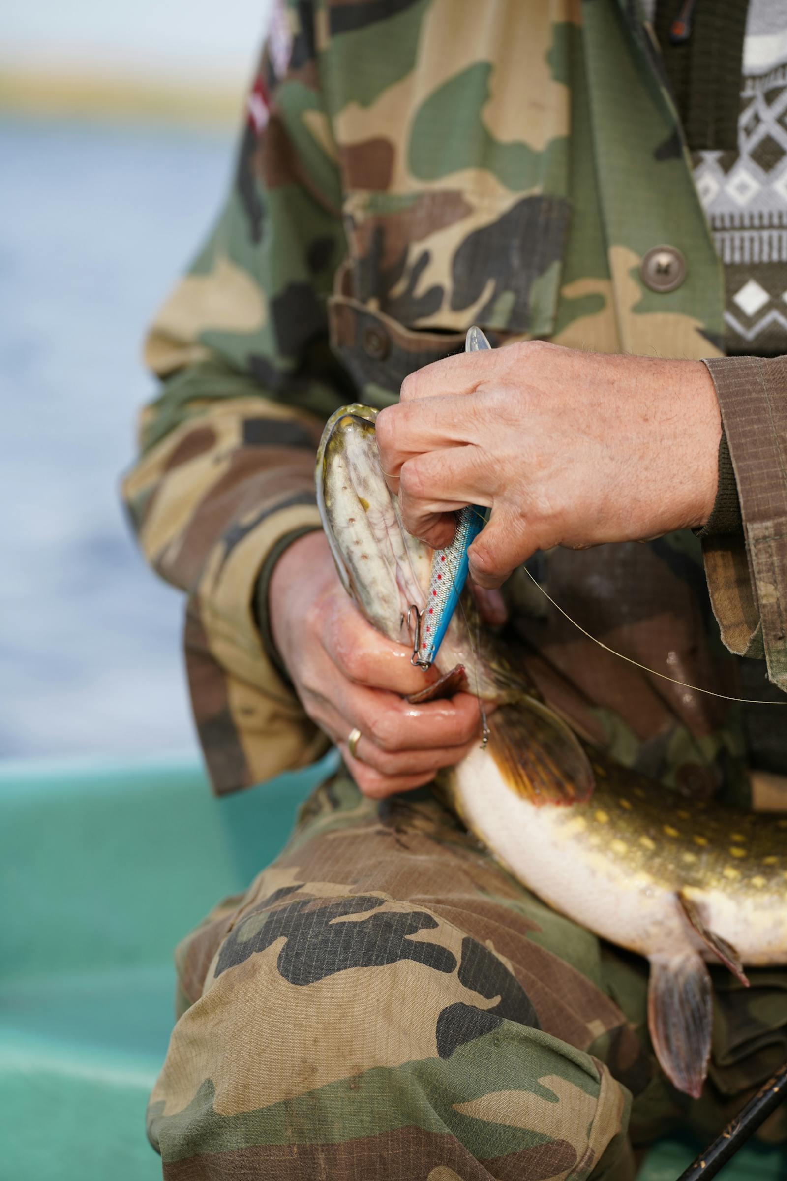 Pike Fish Photos, Download The BEST Free Pike Fish Stock Photos & HD Images