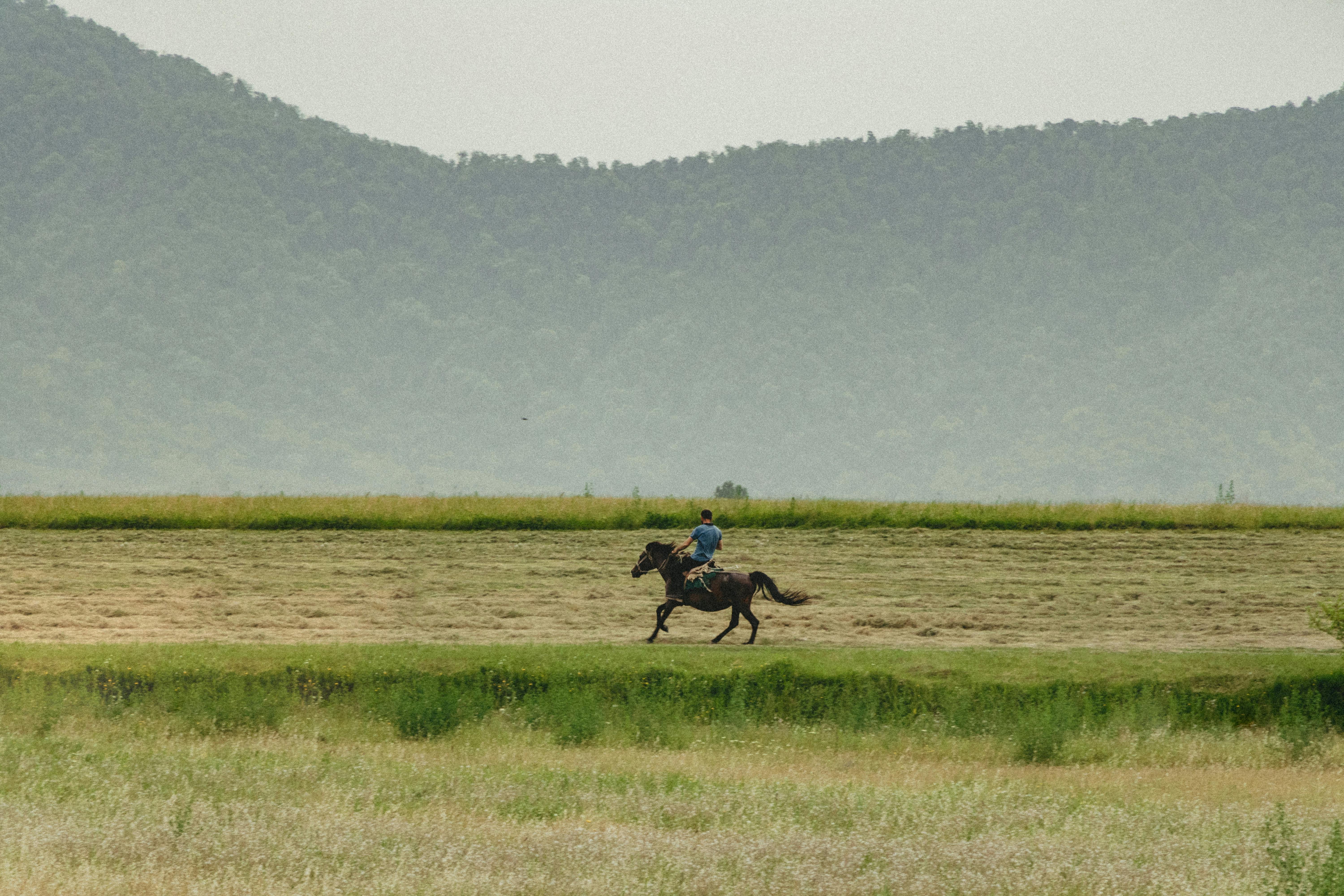 Man Horseback Riding in Countryside · Free Stock Photo