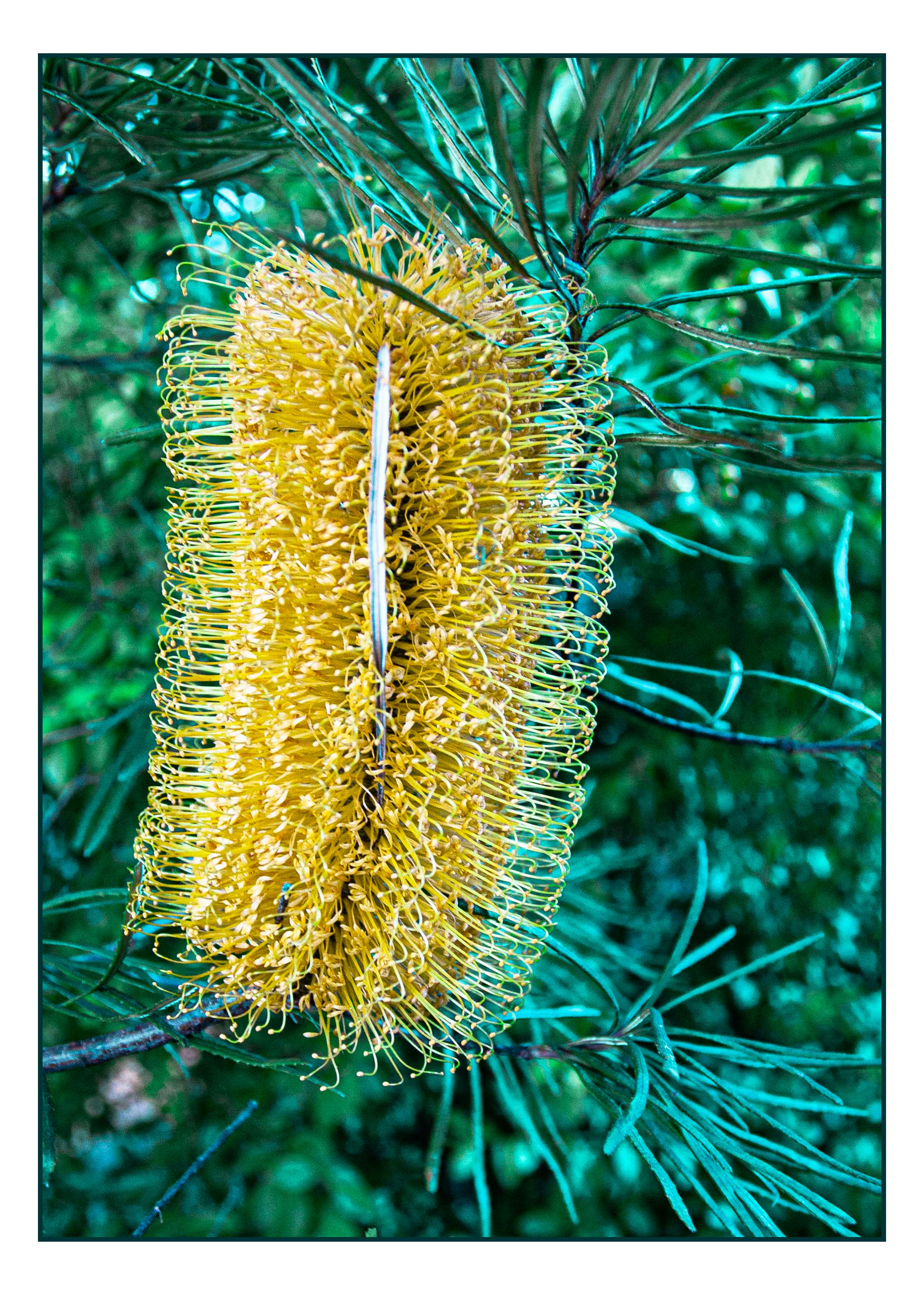 Colin Dean - Photography